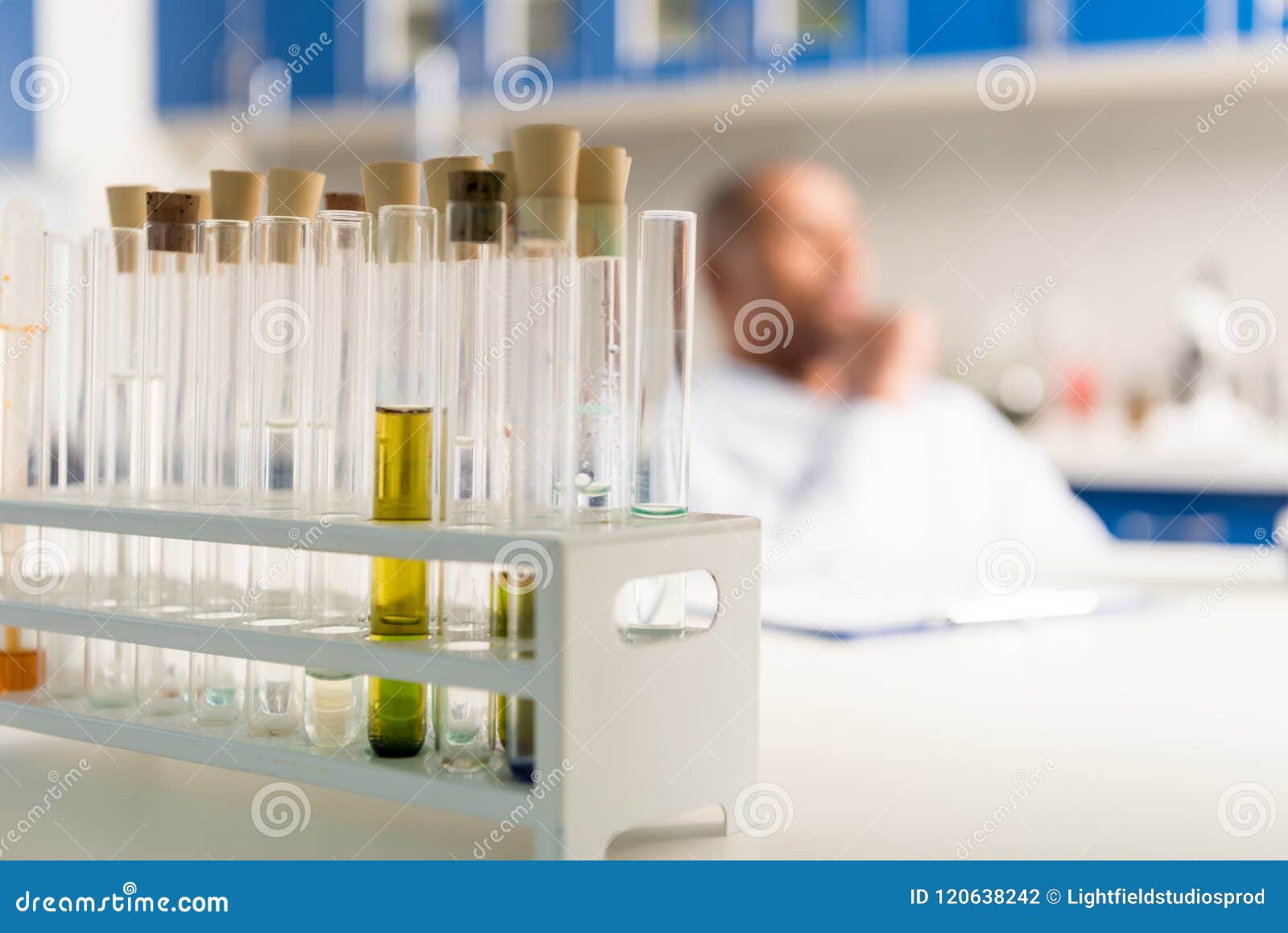 Samples in Long Test Tubes Placed in a Holder on Table Stock Photo ...