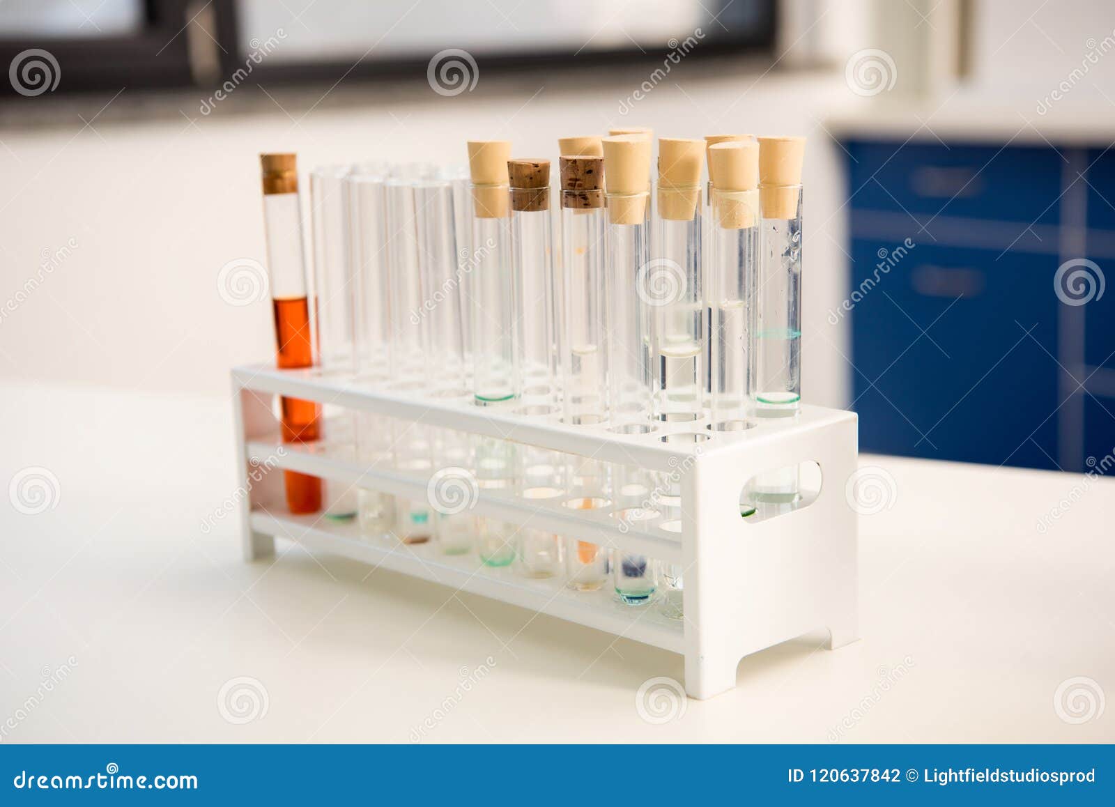 Samples in Long Test-tubes Placed in a Holder on Table Stock Photo ...