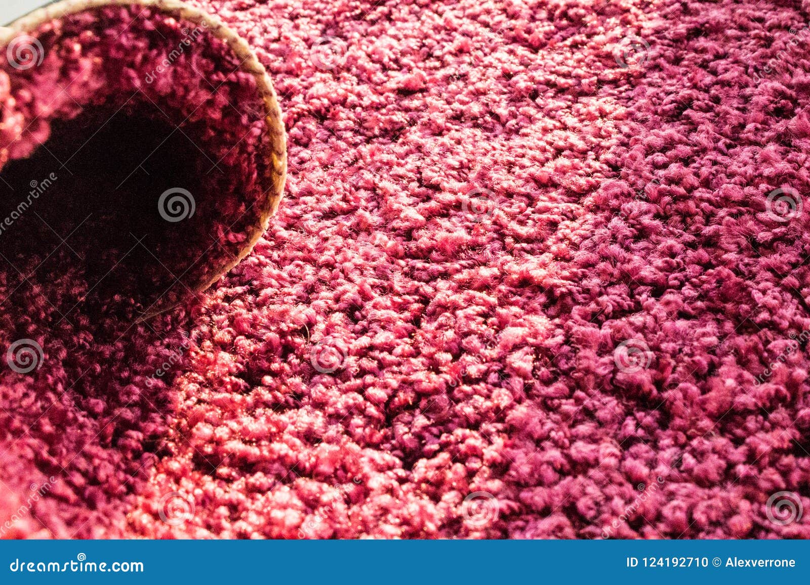 Samples of a Multi-colored Carpet Stock Photo - Image of multicolored ...