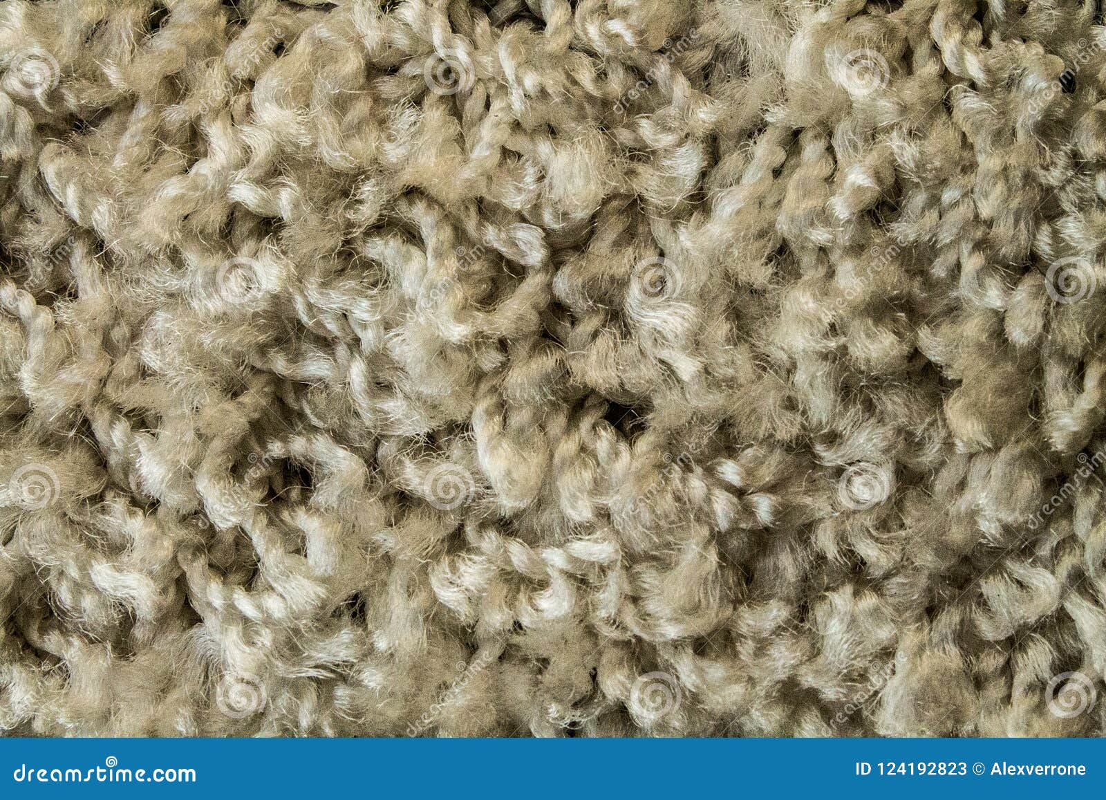 Samples of a Multi-colored Carpet Stock Image - Image of multicolored ...