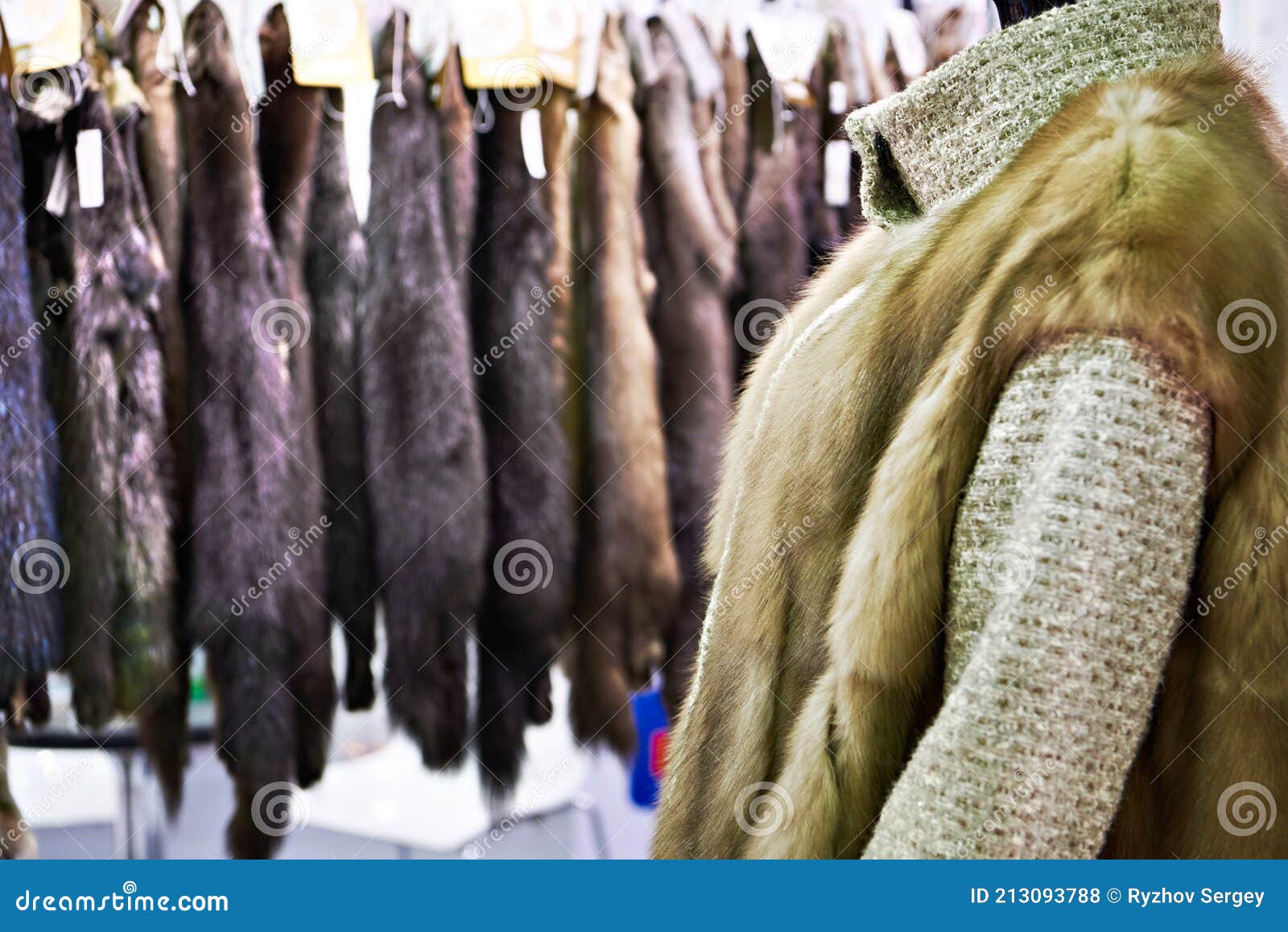 Samples of Natural Fur in Store Stock Photo - Image of natural ...