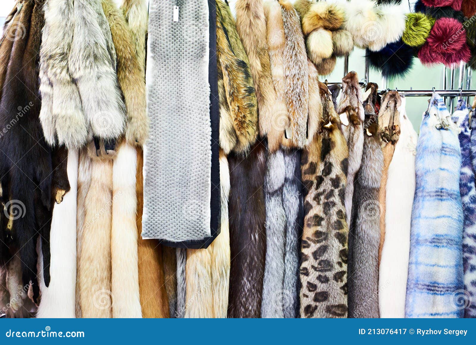 Samples of Natural Fur in Store Stock Image - Image of furrier ...