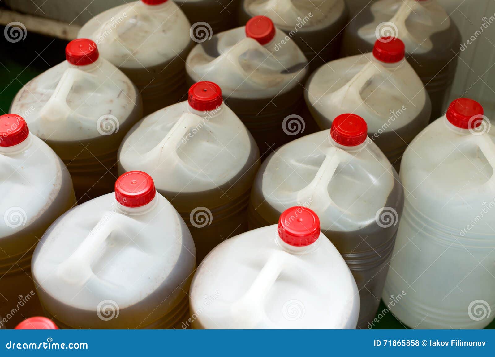 Samples of Olive Oil Production Stock Photo - Image of factory, group ...