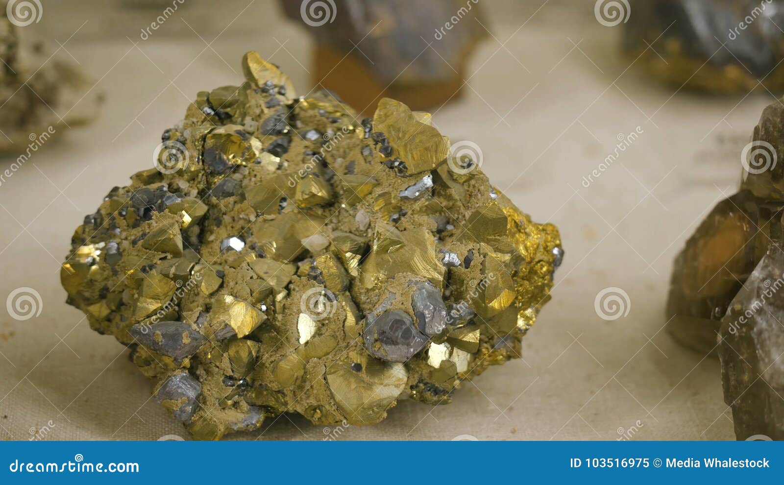 Samples of Rock or Mineral Rocks, Which are Represented in the Museum ...