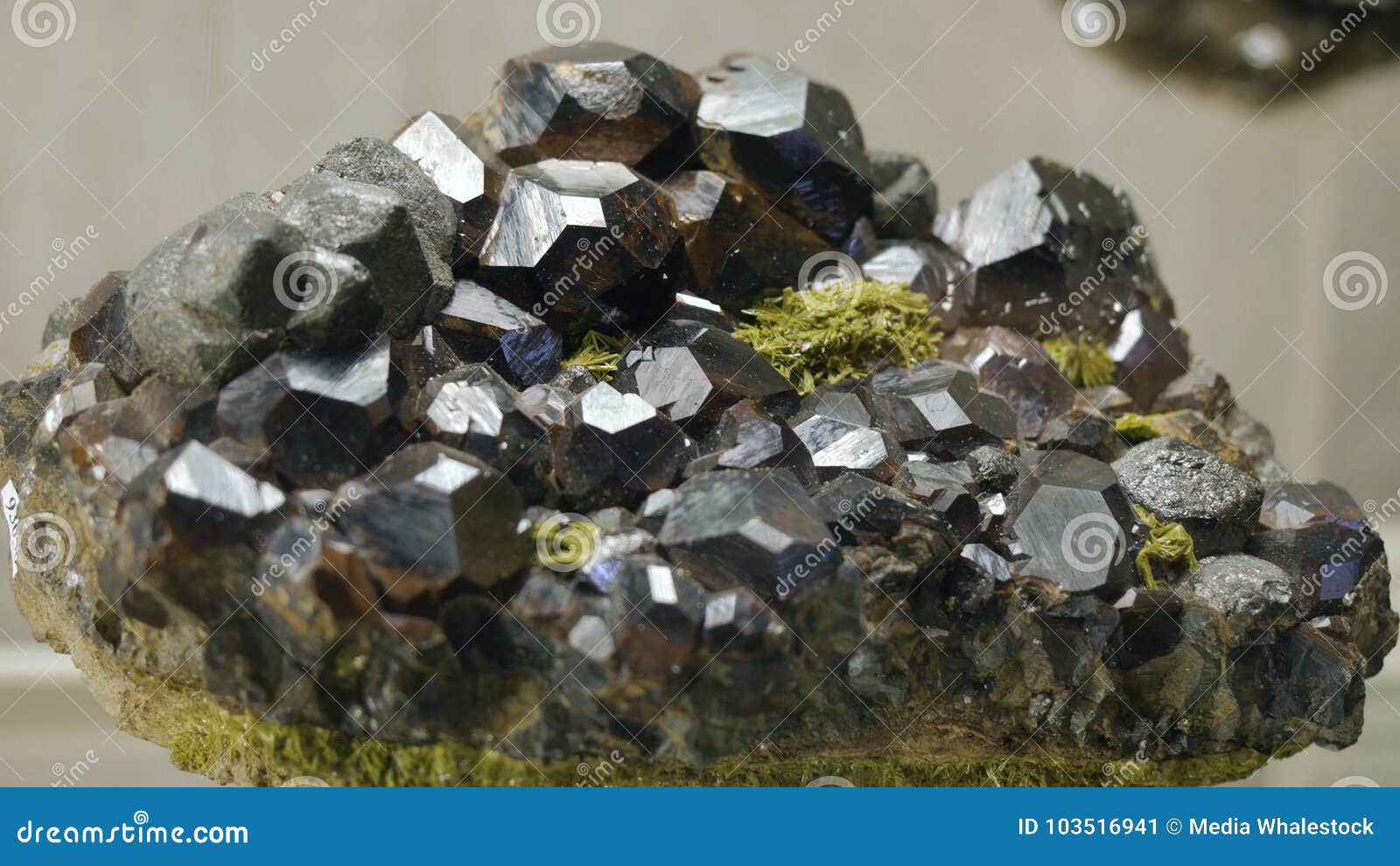 Samples of Rock or Mineral Rocks, Which are Represented in the Museum ...