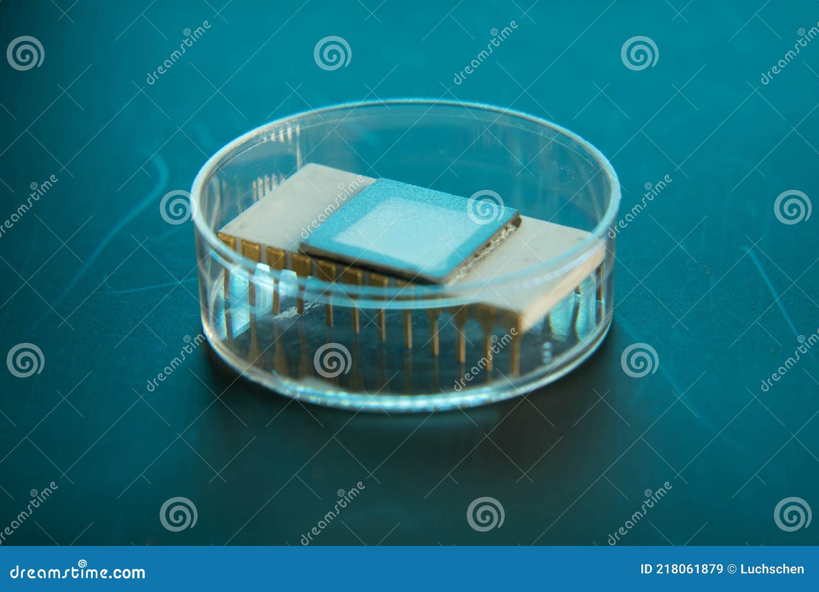 Samples of Semiconductor Microcircuits in the Semiconductor Electronics ...