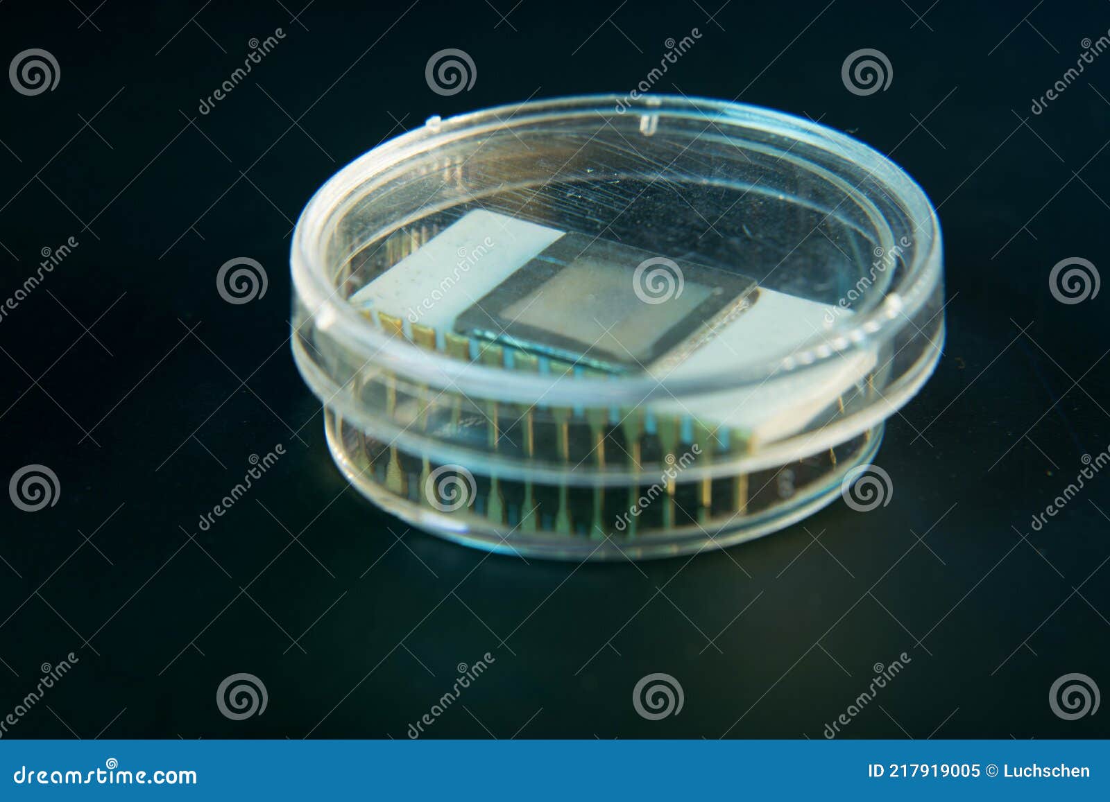 Samples of Semiconductor Microcircuits in the Semiconductor Electronics ...