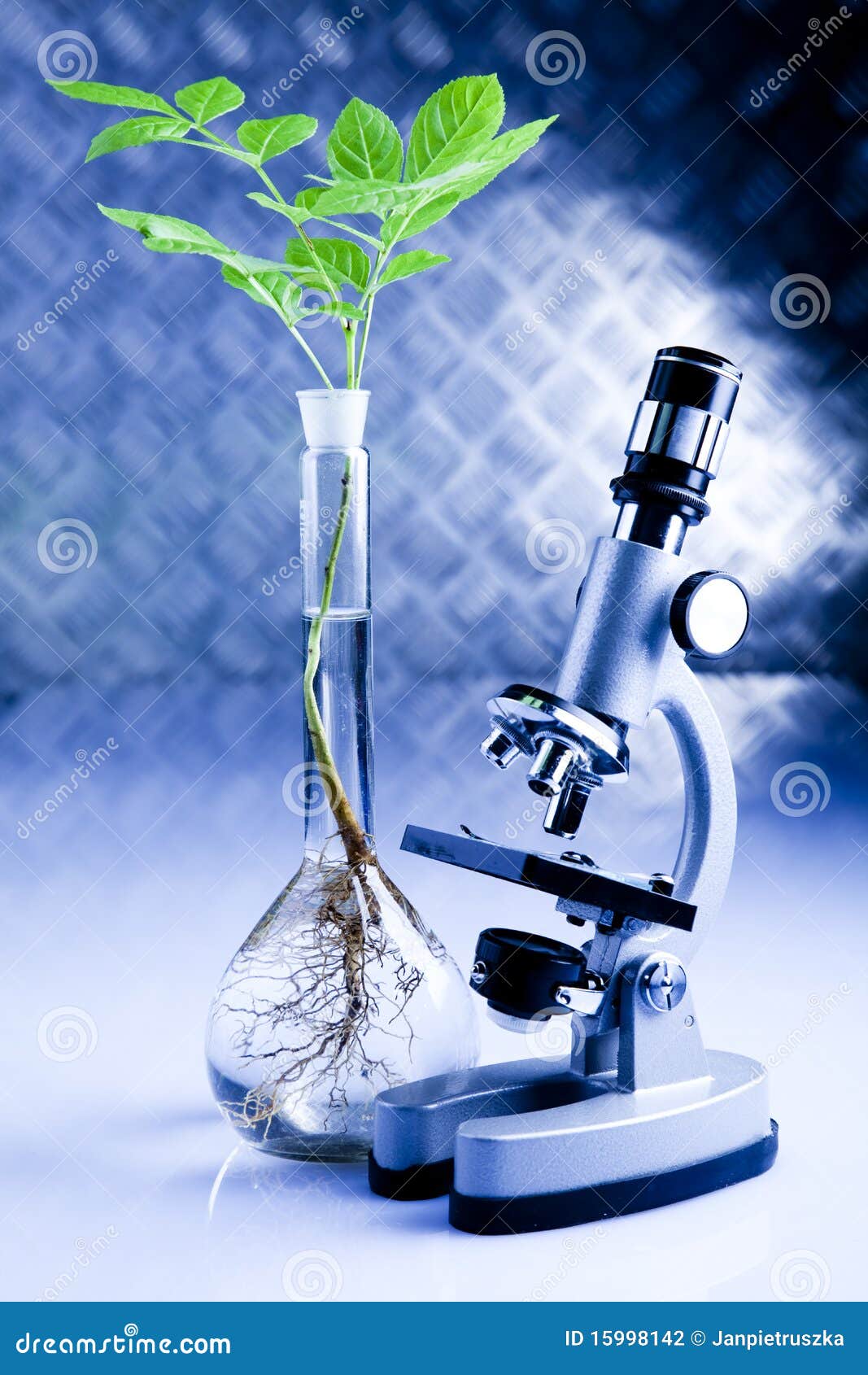 Samples of Super Grow Plants Stock Photo - Image of glass, medical ...