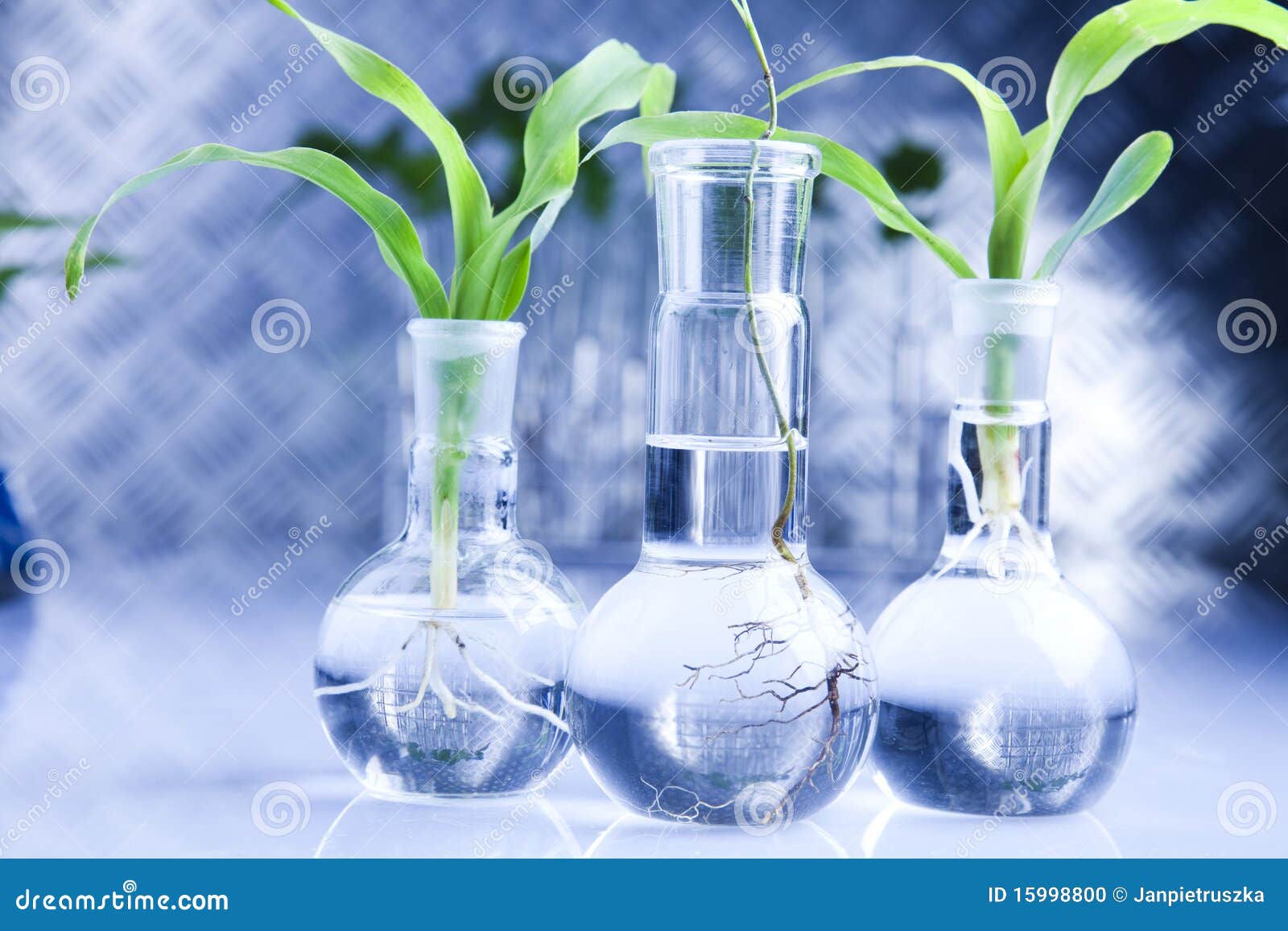 Samples of Super Grow Plants Stock Photo - Image of chemistry, medicine ...