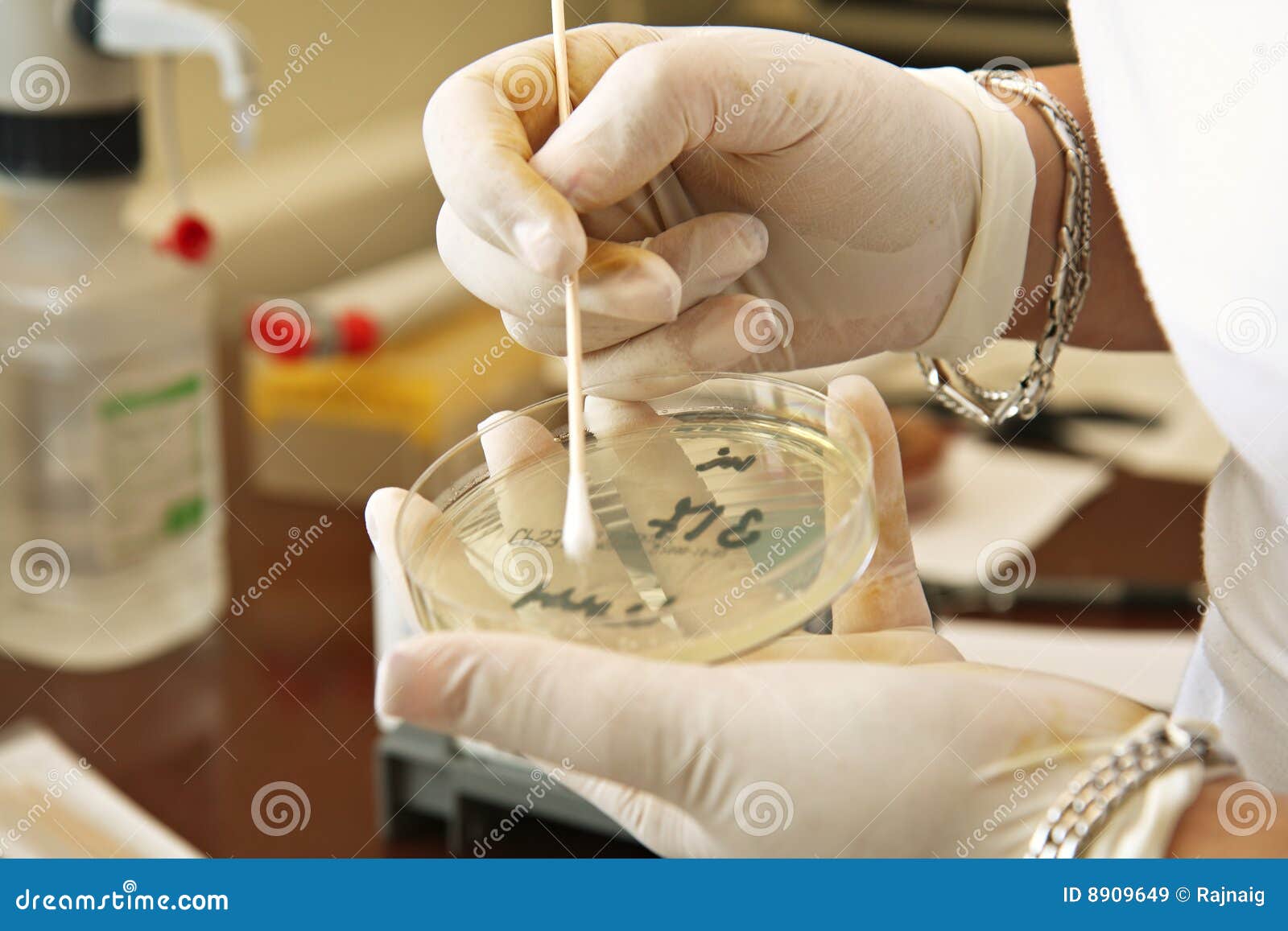 Sampling stock image. Image of healthcare, equipment, petri - 8909649