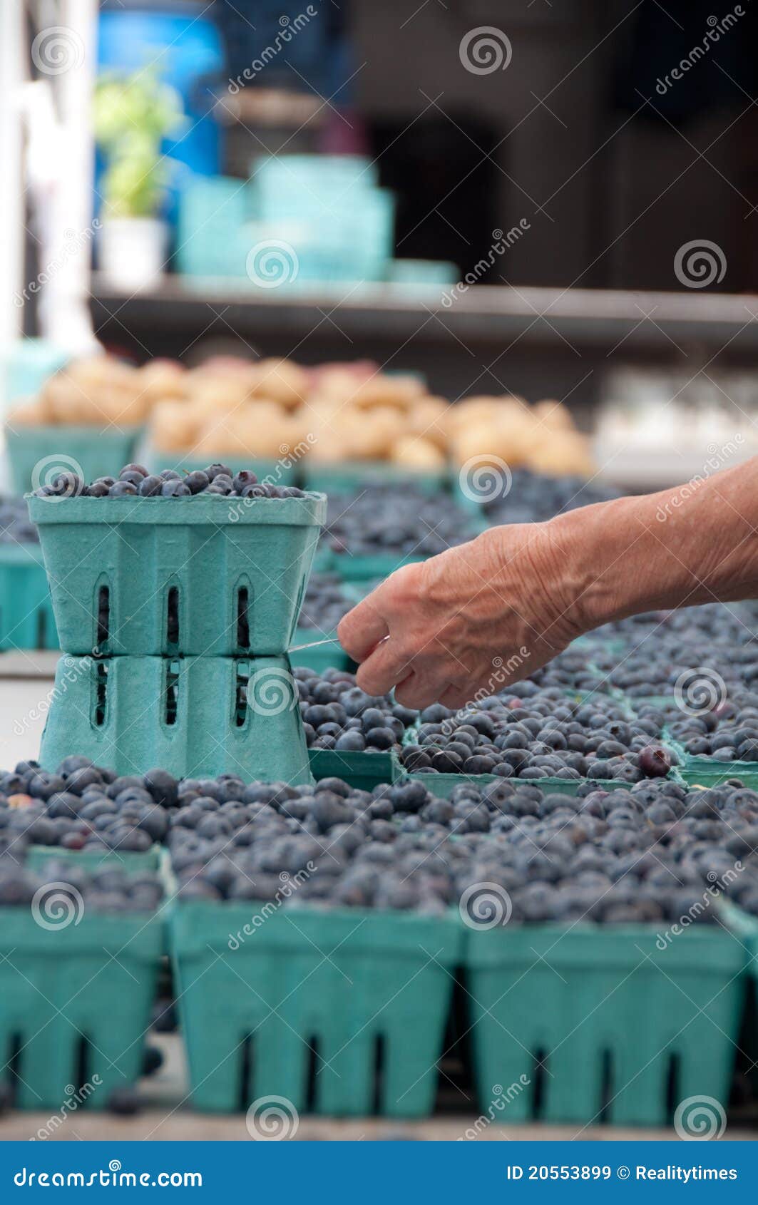 Sampling Blueberries at Farmer S Market Stock Image - Image of portland ...