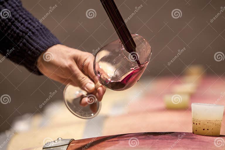Sampling wine stock photo. Image of oenologist, quality - 138978050
