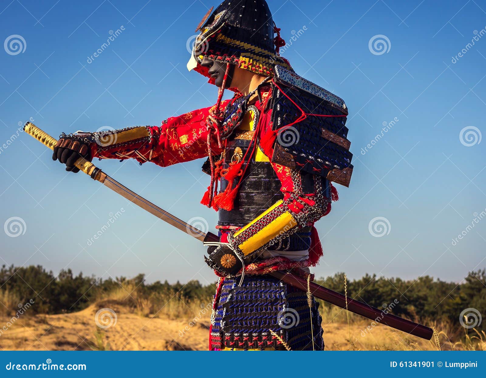 Samurai in a Field in Ancient Armor Pulls the Sword Attack Stock Image ...