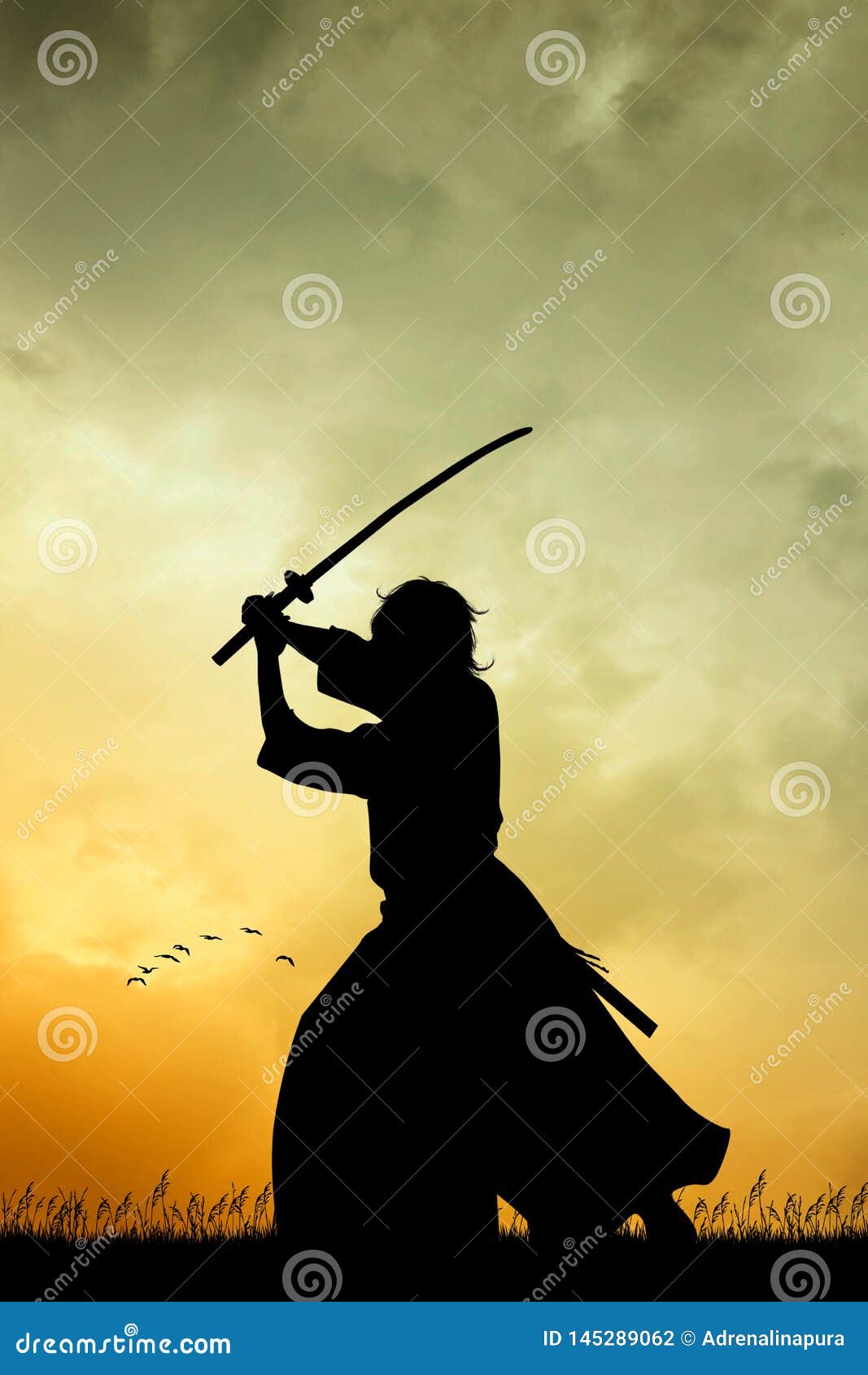 Samurai at sunset stock illustration. Illustration of aikido - 145289062