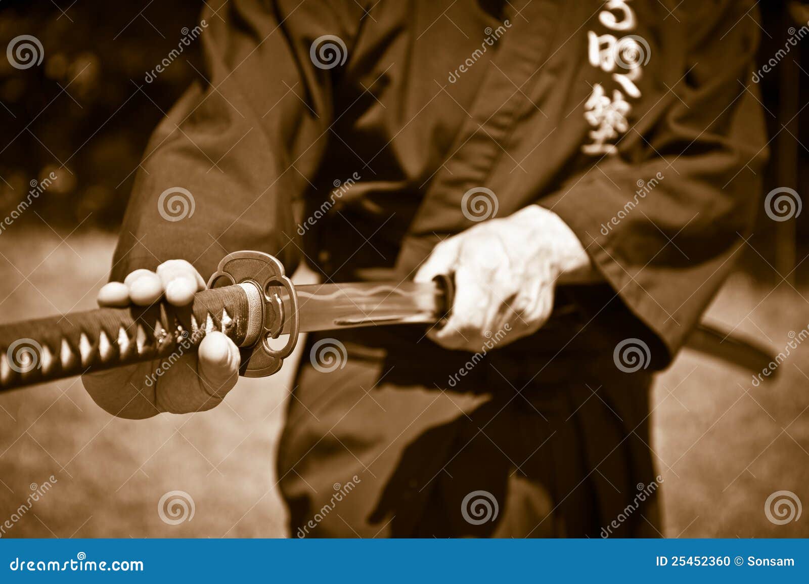 Samurai Royalty-Free Stock Image | CartoonDealer.com #48096502