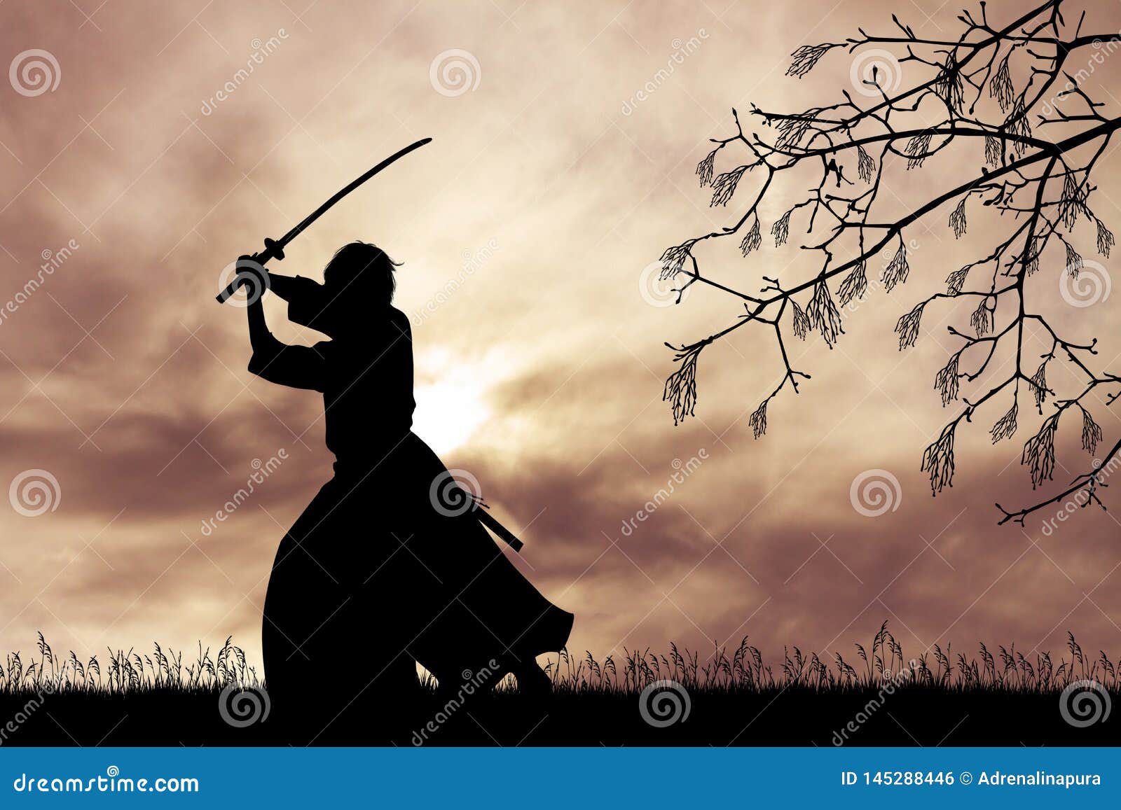 Samurai with Sword at Sunset Stock Photo - Image of arts, blade: 145288446