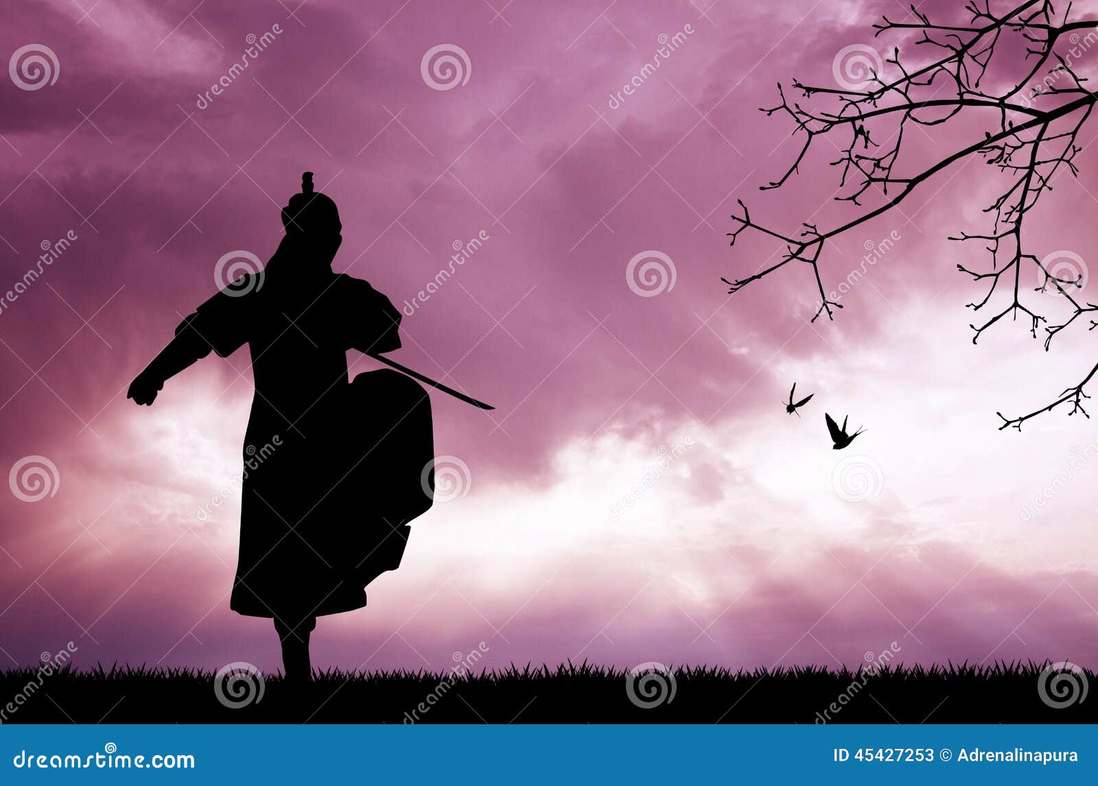 Samurai with Swords at Sunset Stock Illustration - Illustration of ...