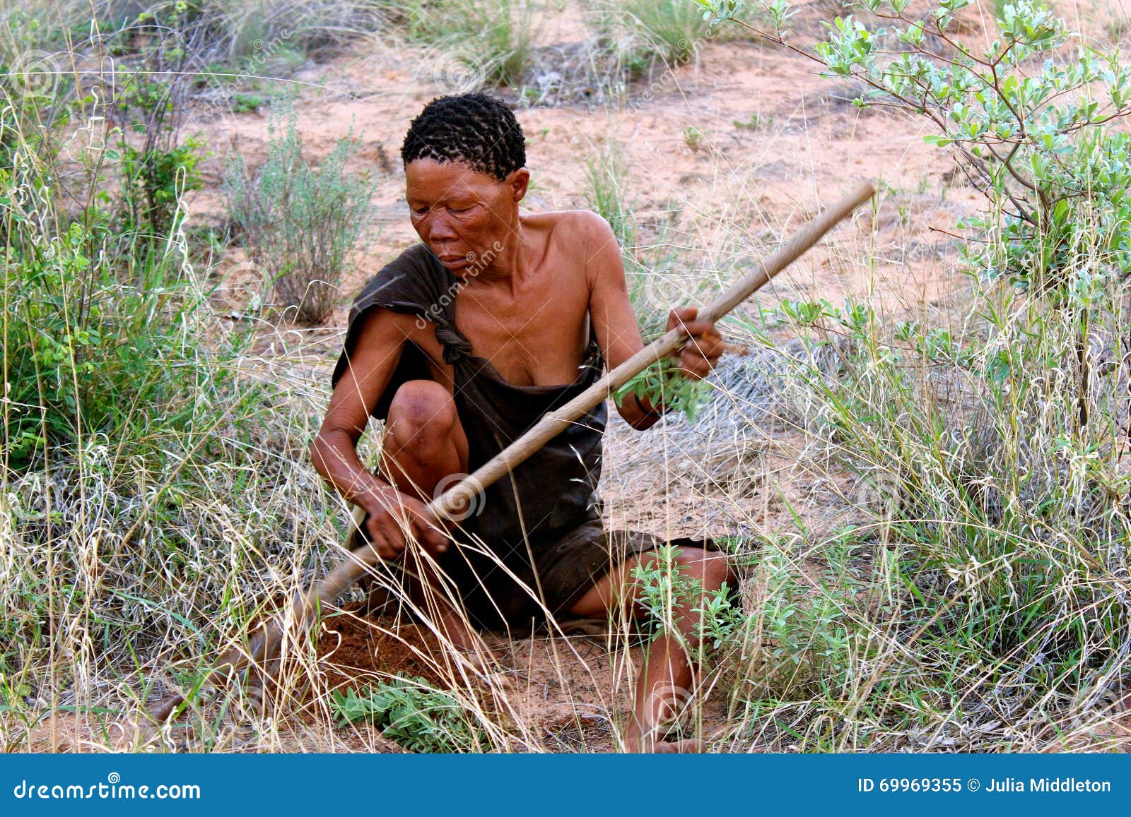 San Bushmen Tribe Editorial Image | CartoonDealer.com #69969372