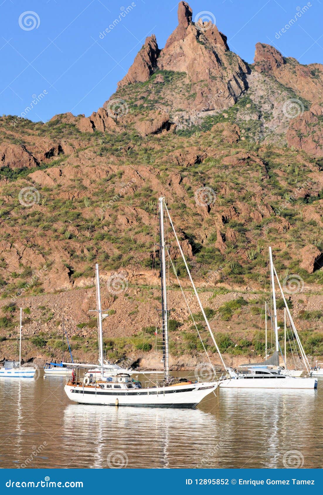 San Carlos, Mexico stock photo. Image of desert, carlos - 12895852