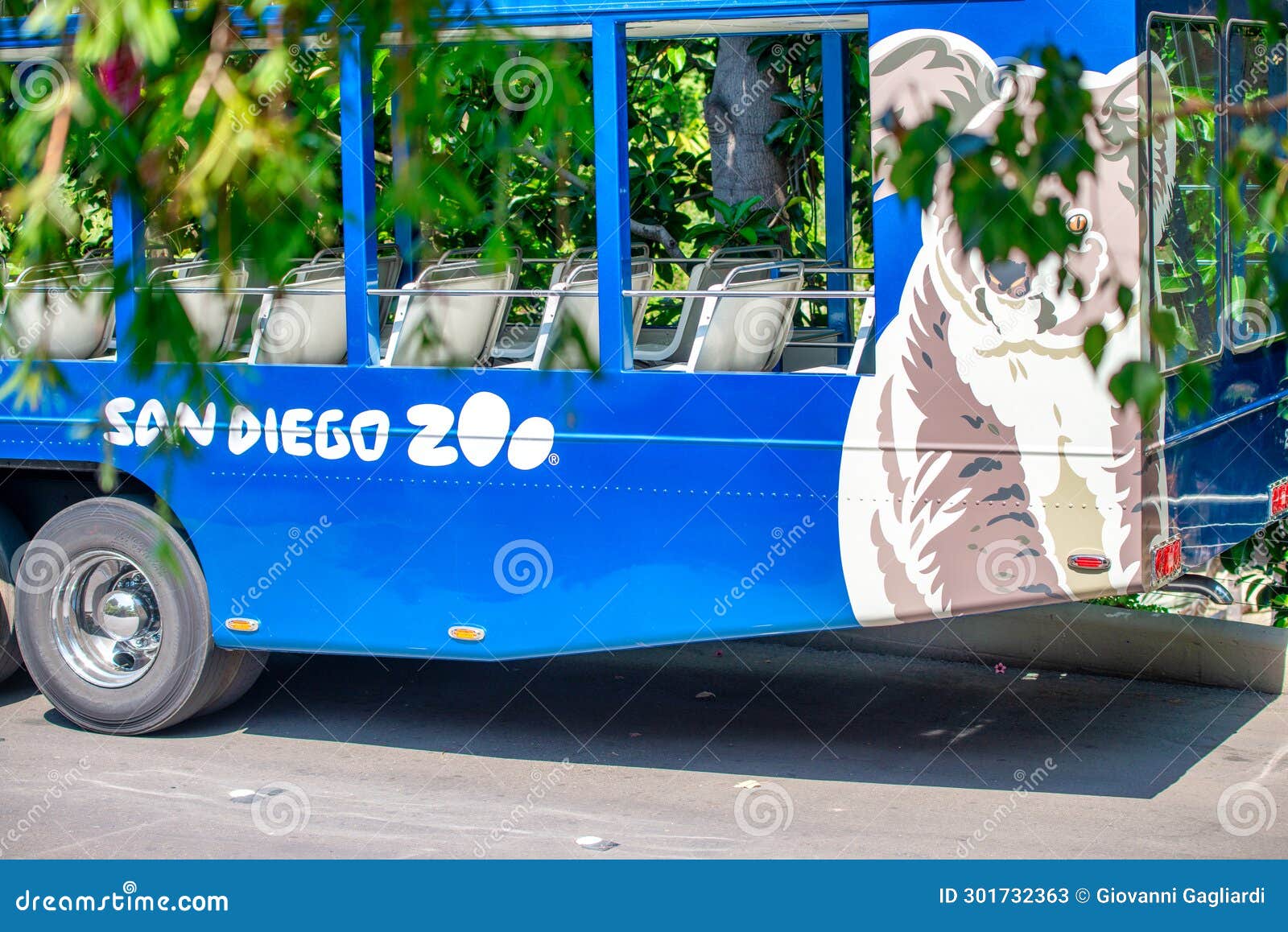 San Diego Zoo tram tour editorial stock photo. Image of travel - 301732363