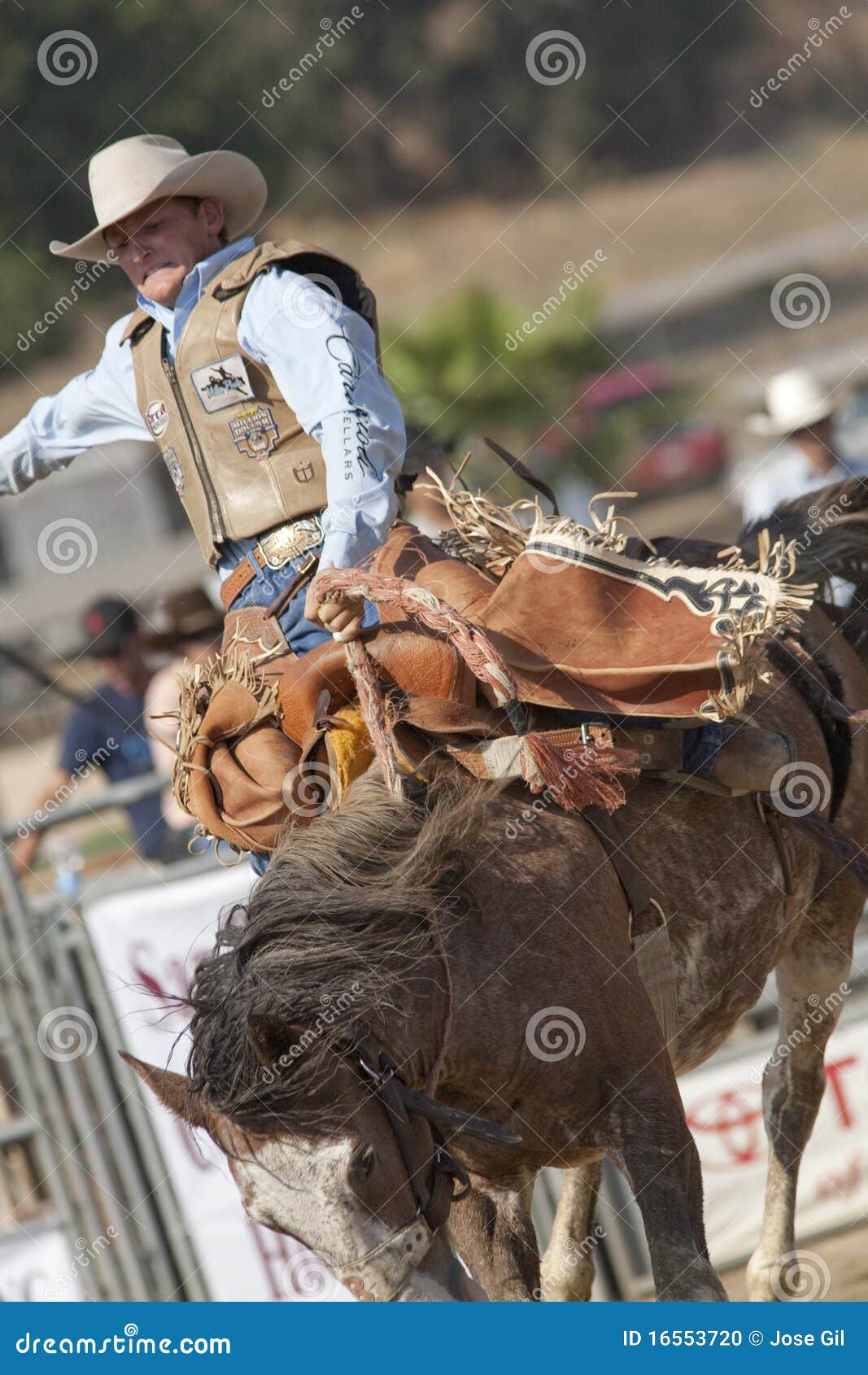 San Dimas Rodeo Saddle Bronc Editorial Image - Image of bronc, cowboys ...