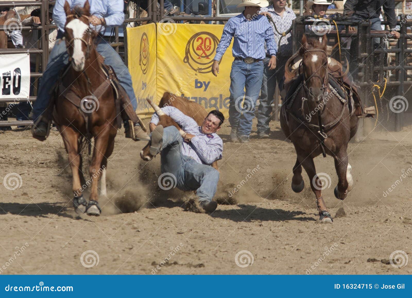 San Dimas Rodeo Steer Wrestling Editorial Image - Image of athletics ...