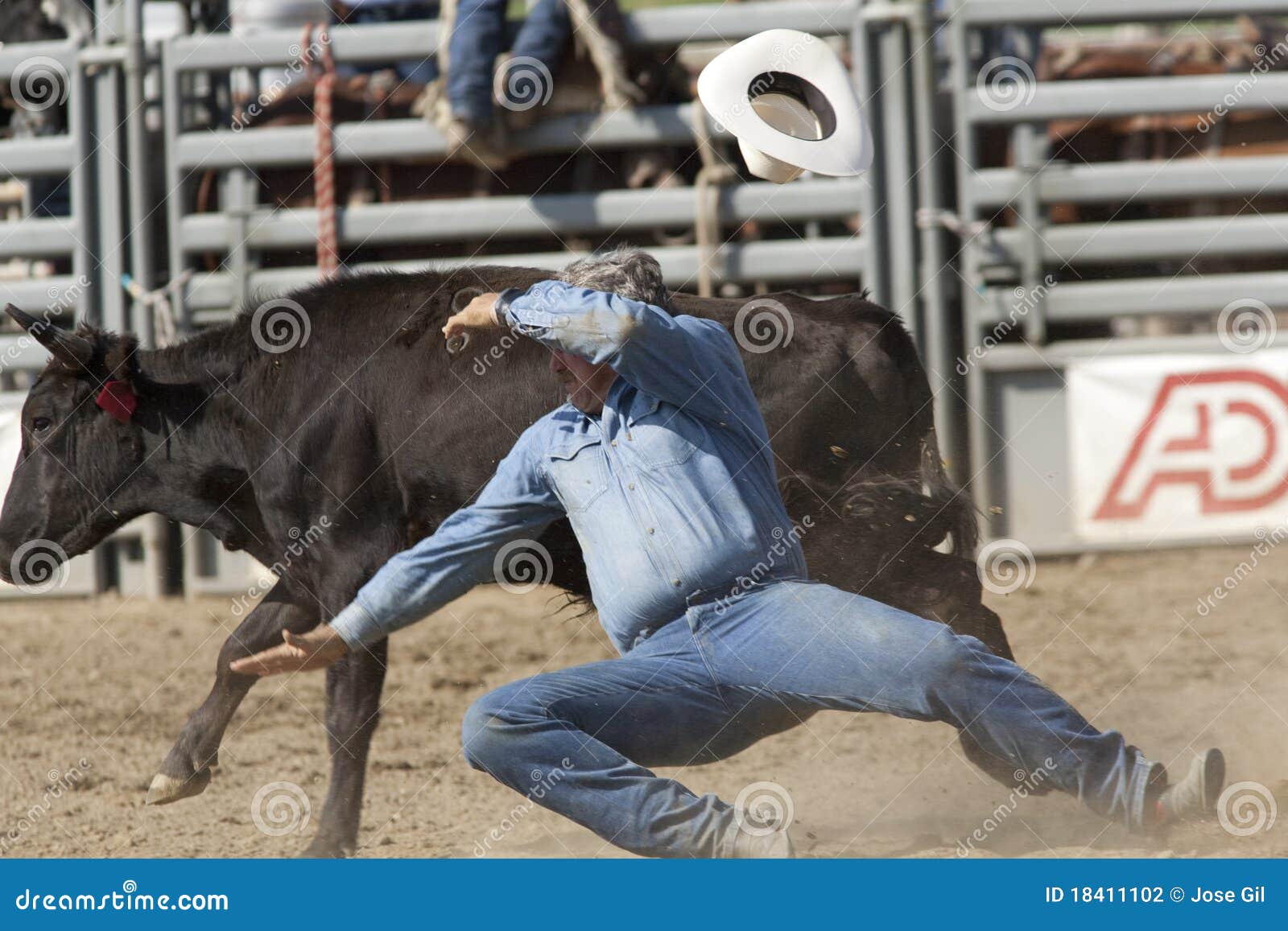 San Dimas Rodeo Steer Wrestling Editorial Photography - Image of boys ...
