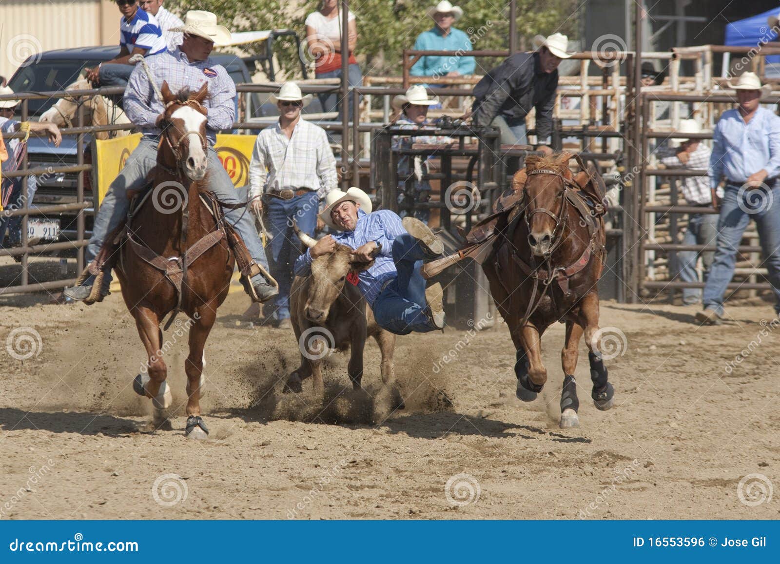 San Dimas Rodeo Steer Wrestling 4 Editorial Photo - Image of cowboys ...