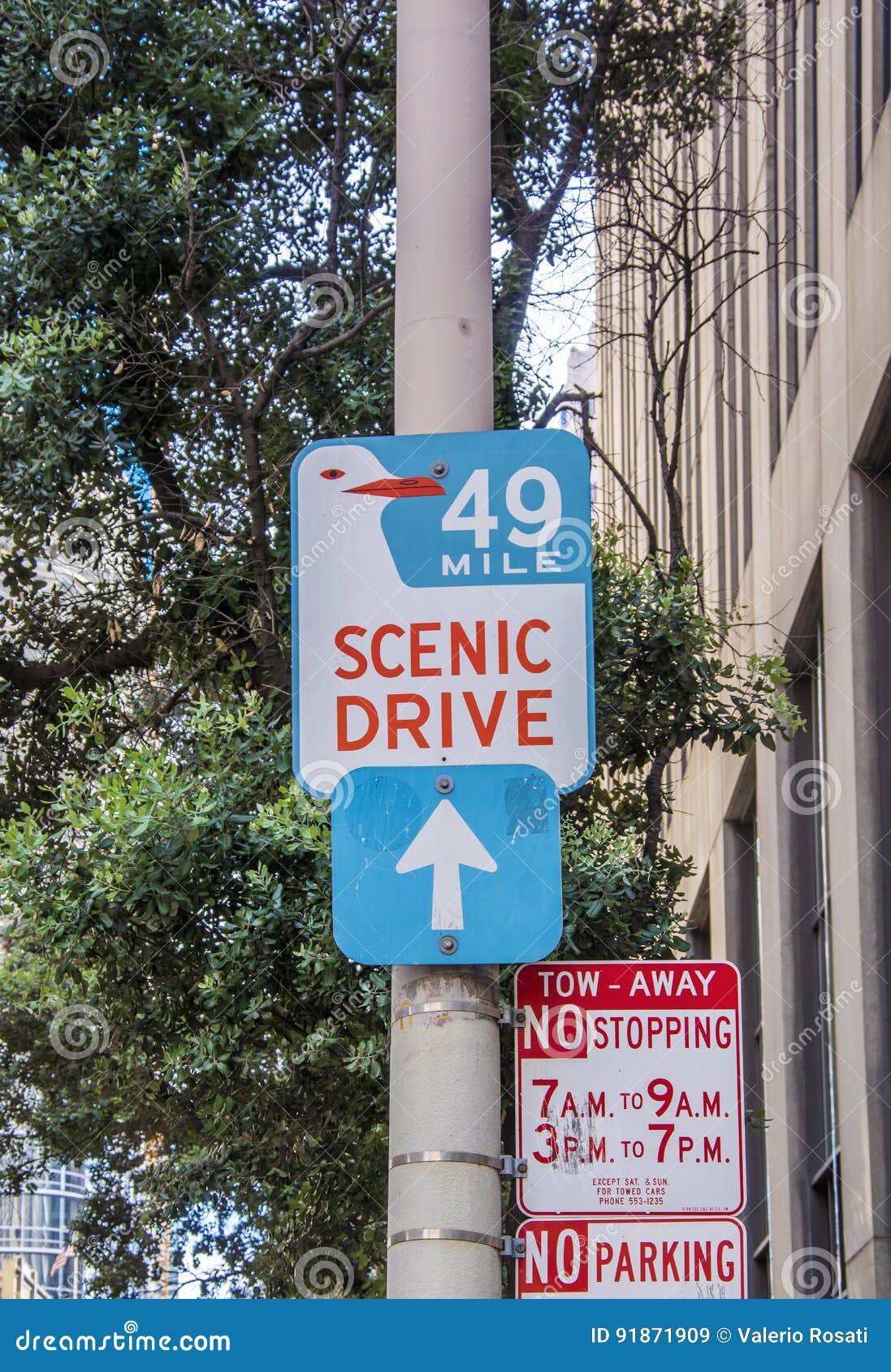 San Francisco Scenic Drive stock image. Image of eagle - 91871909