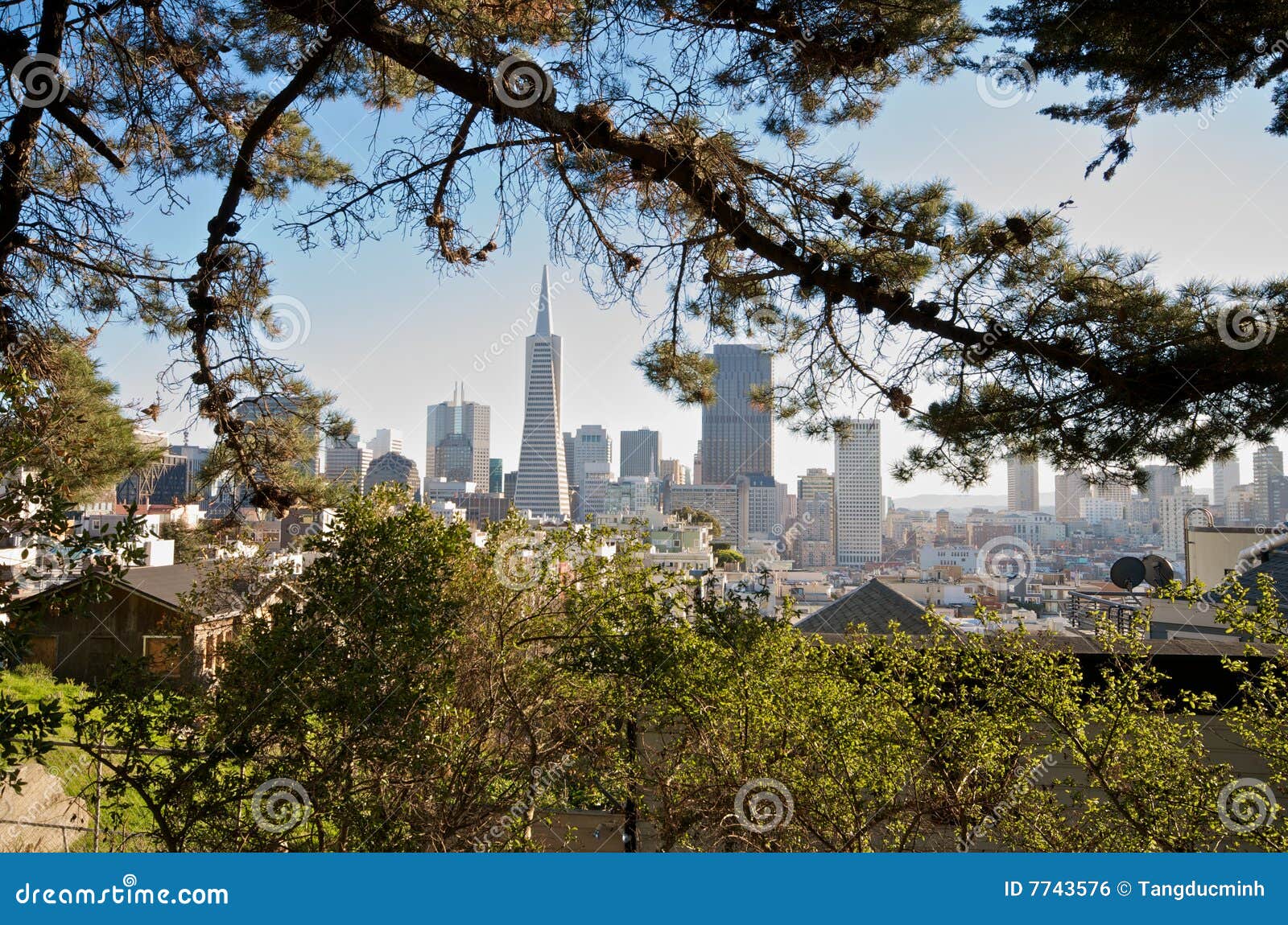 San Francisco Skyline Nature View Stock Photo - Image of houses ...