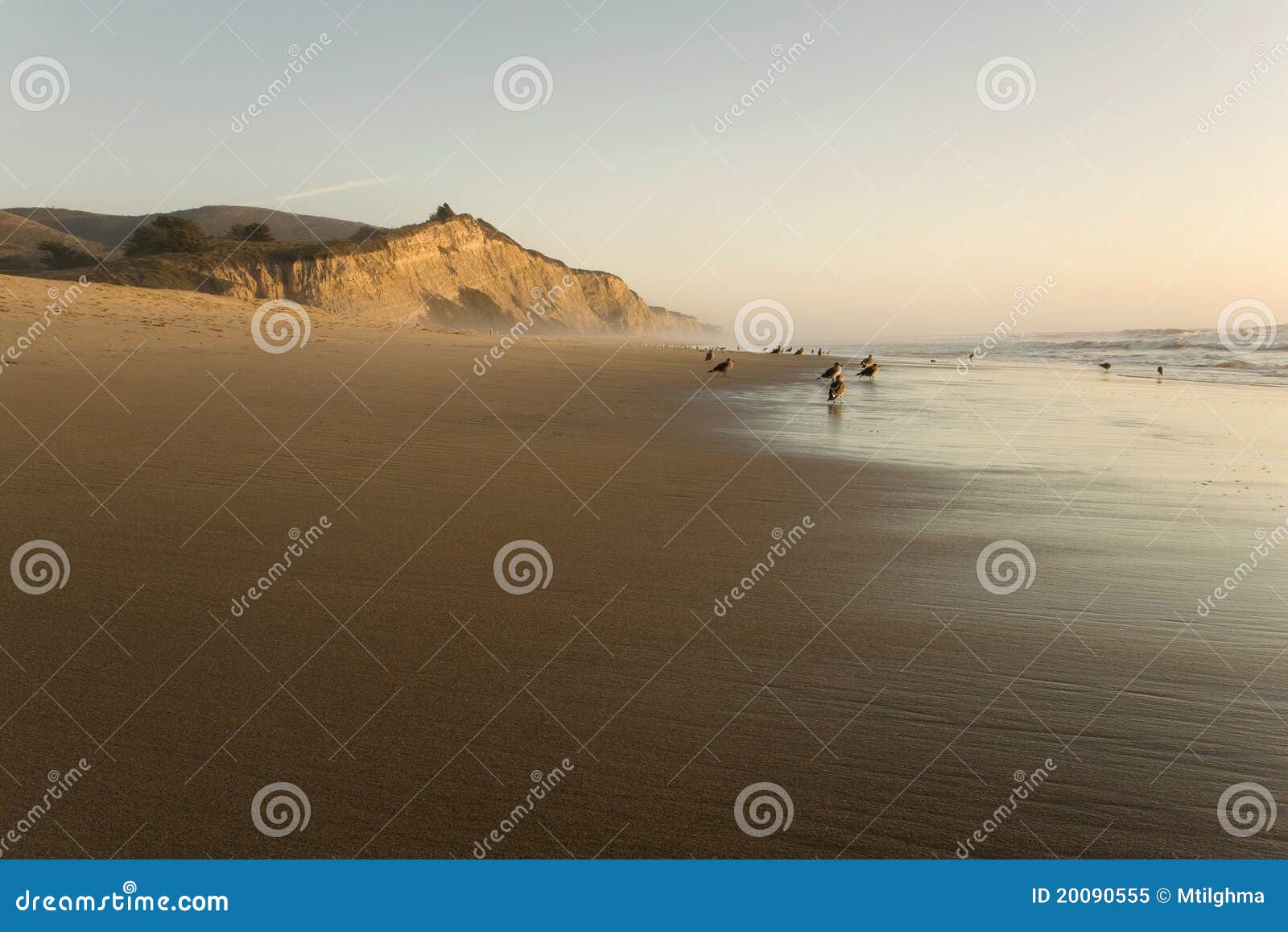 San Gregorio Beach at Sunset Stock Image - Image of california ...