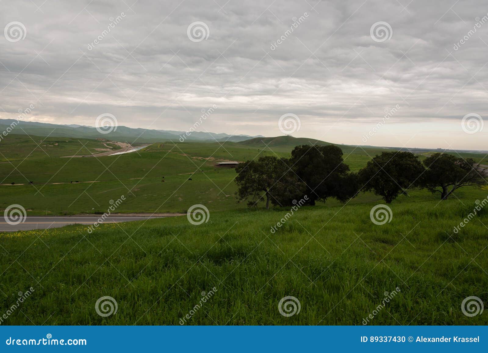 San Joaquin Valley in Springtime Stock Photo - Image of joaquin ...
