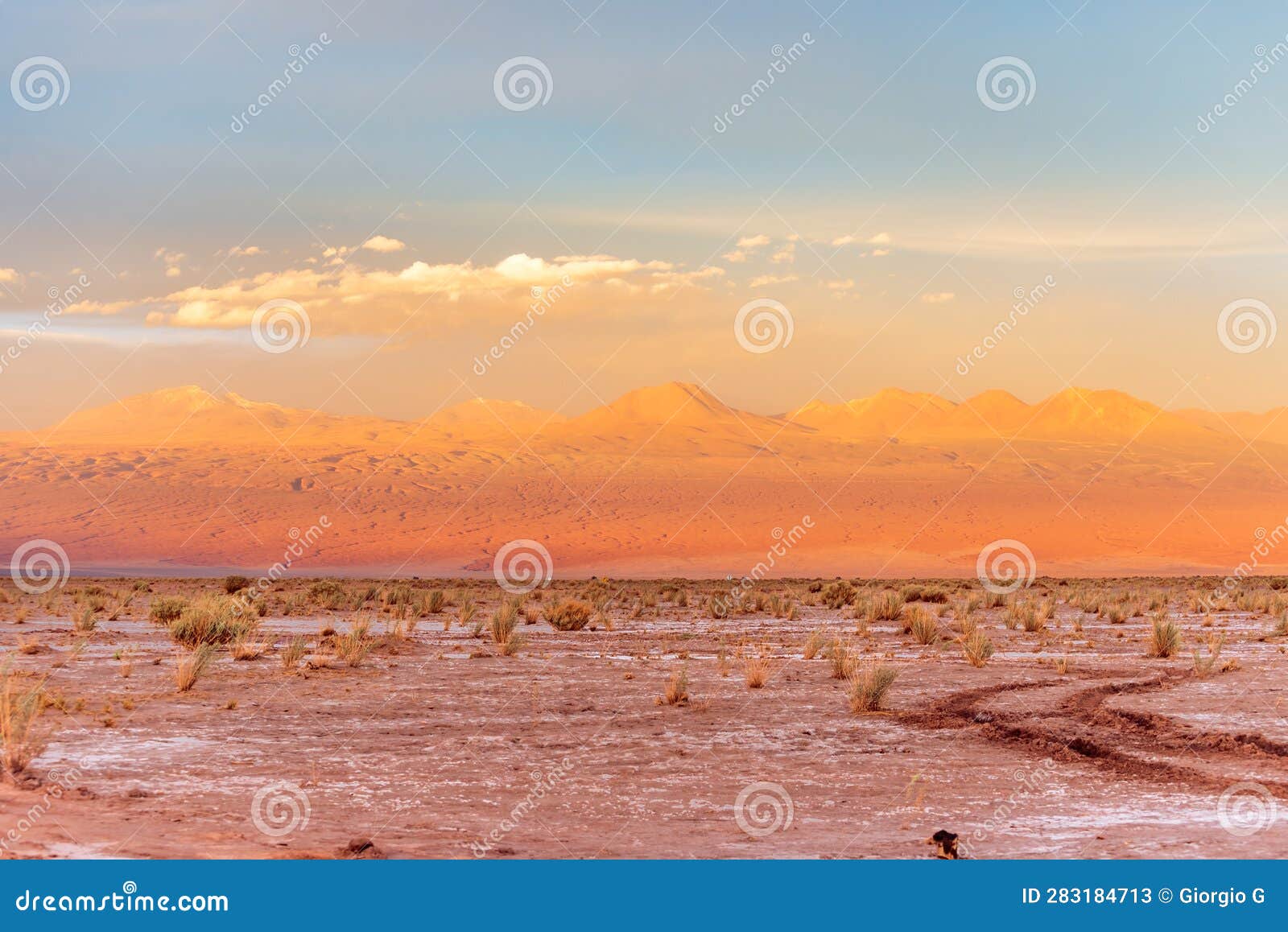 Sunset Falling Over Prairie at Atacama Desert Stock Image - Image of ...