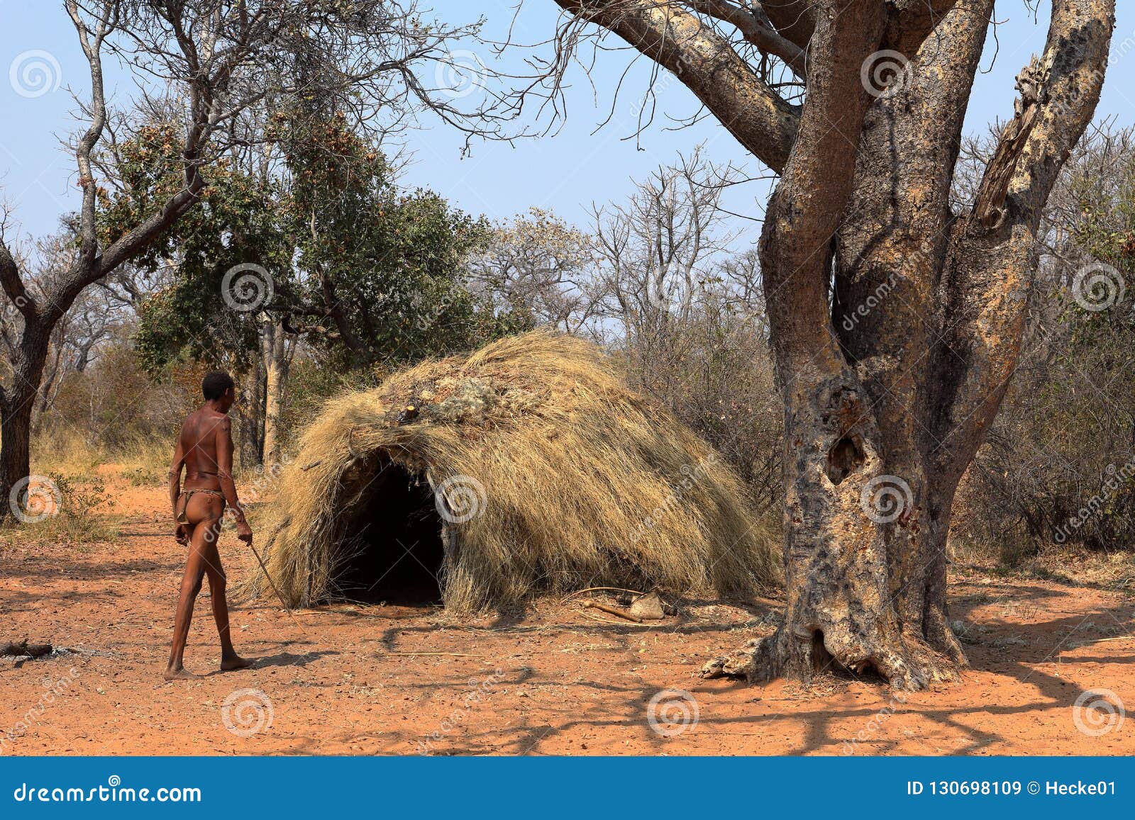 San People in Namibia stock image. Image of savannah - 130698109