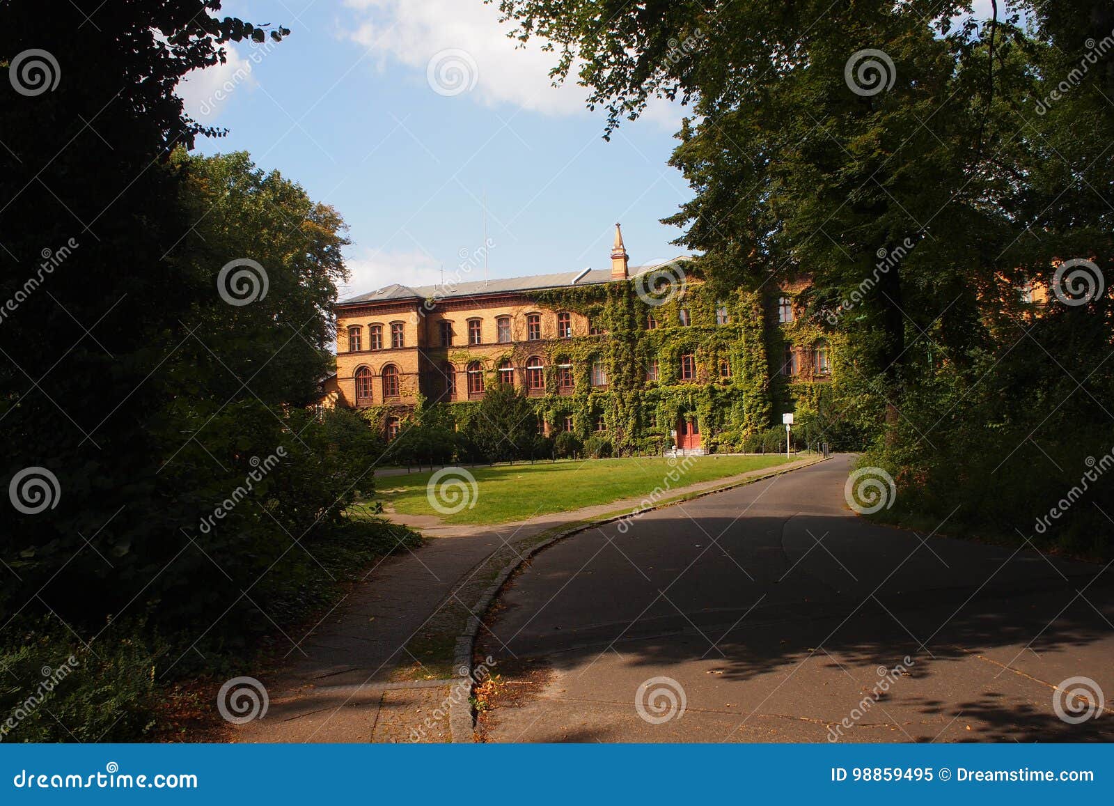 Sanatorium Germany stock image. Image of leaves, vegetation - 98859495
