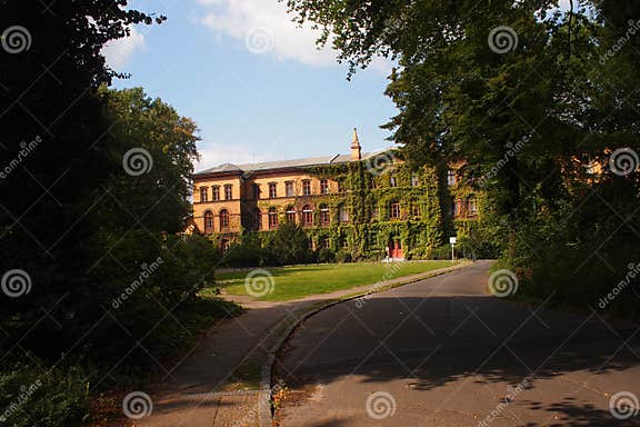 Sanatorium Germany stock image. Image of leaves, vegetation - 98859495
