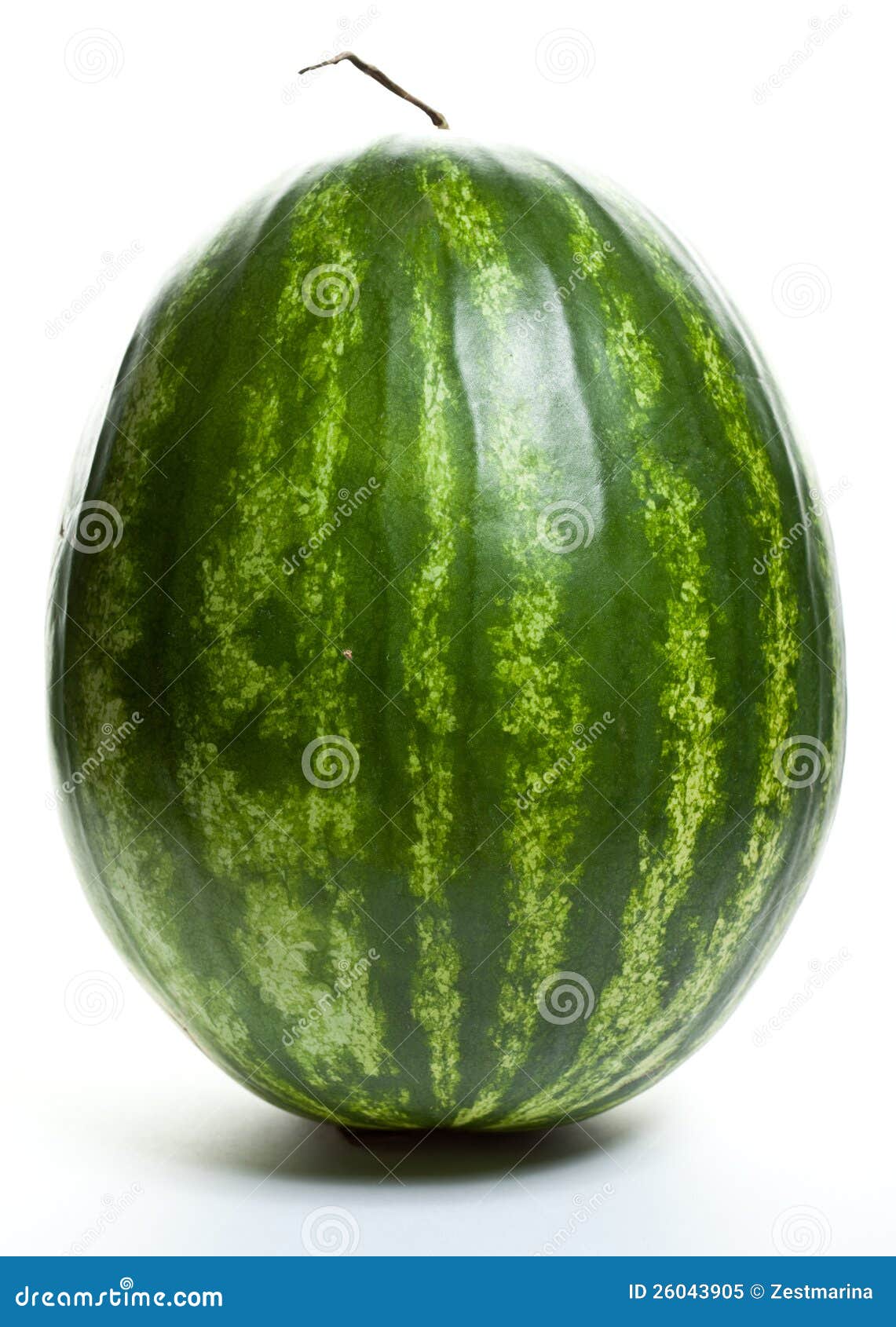 Sandía enorme imagen de archivo. Imagen de primer, fruta - 26043905