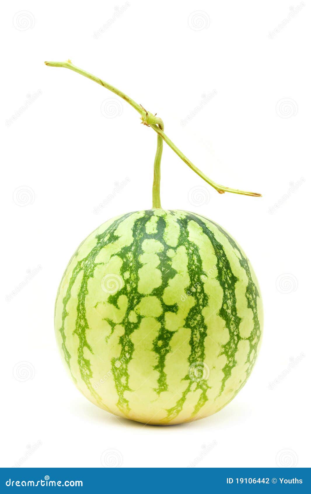 Sandía entera foto de archivo. Imagen de anaranjado, alimento - 19106442