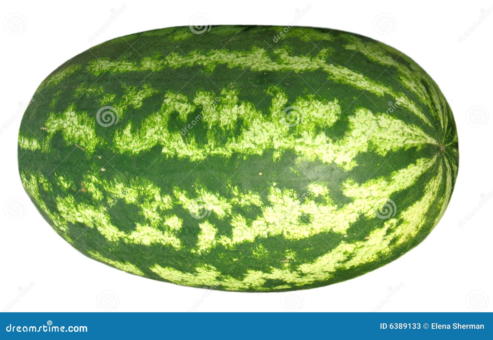 Sandía gigante imagen de archivo. Imagen de fresco, verde - 6389133