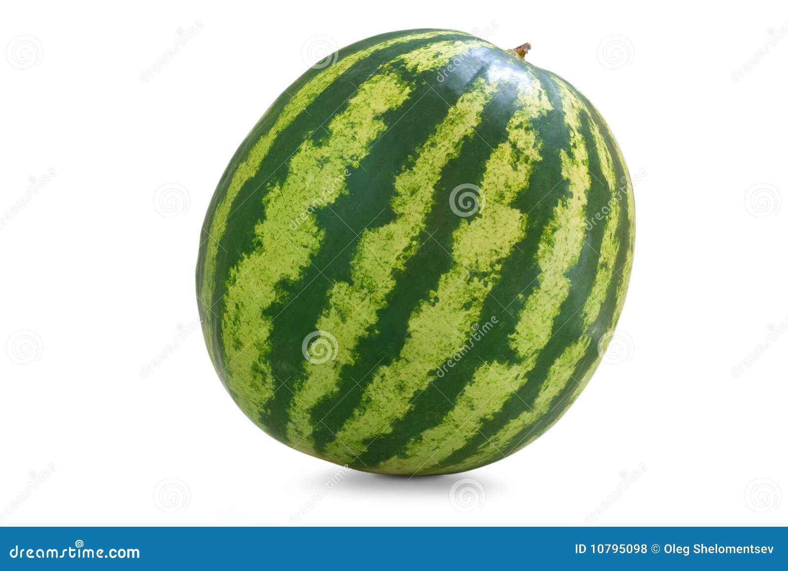 Sandía madura grande. foto de archivo. Imagen de rayado - 10795098