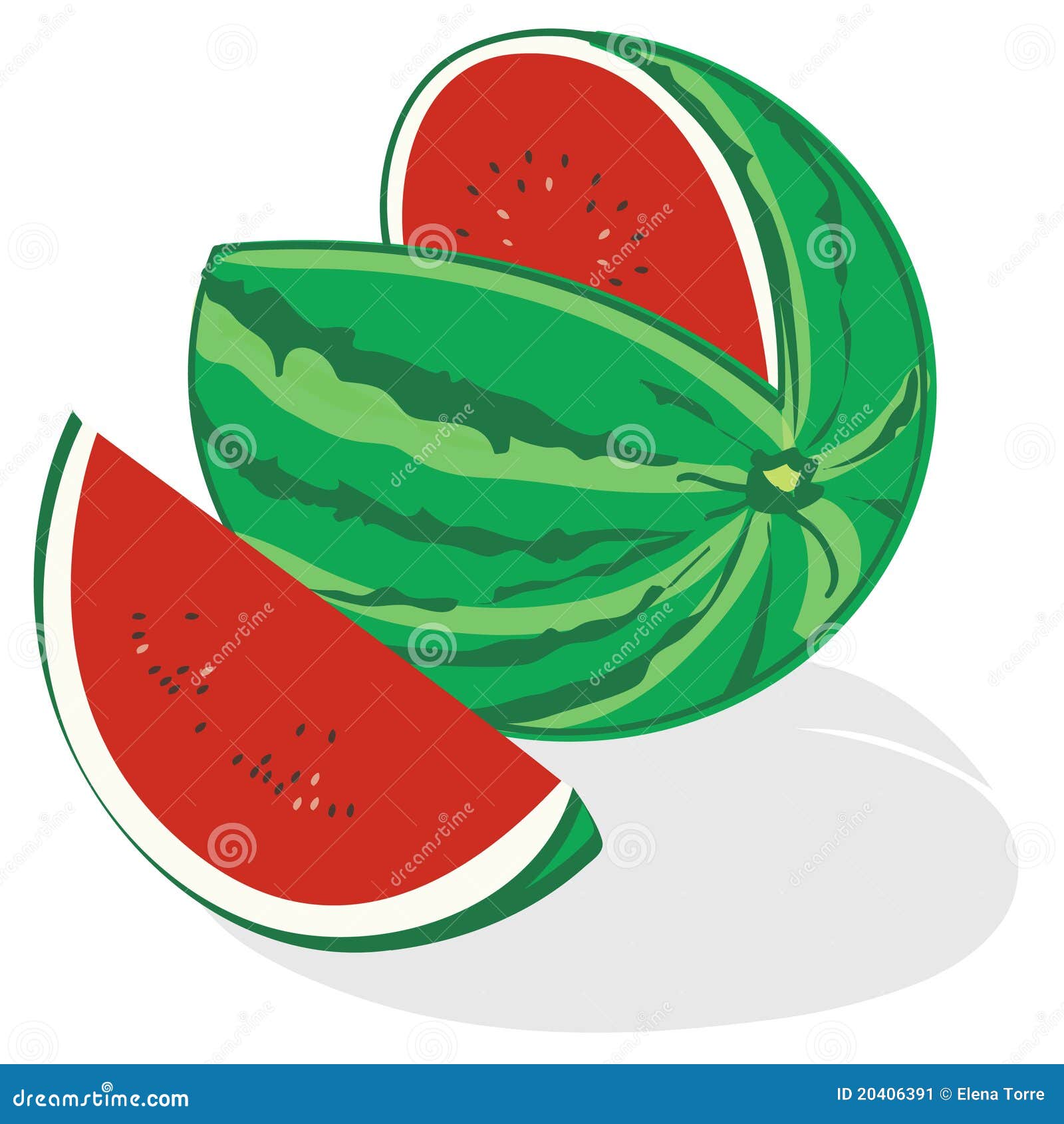 Sandía + vector ilustración del vector. Ilustración de salud - 20406391