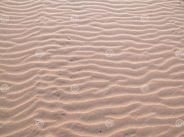 Sand stock photo. Image of pine, closeups, sediments, layers - 112190
