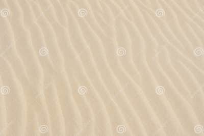 Sand stock photo. Image of desert, rippled, ripple, sahara - 15048368