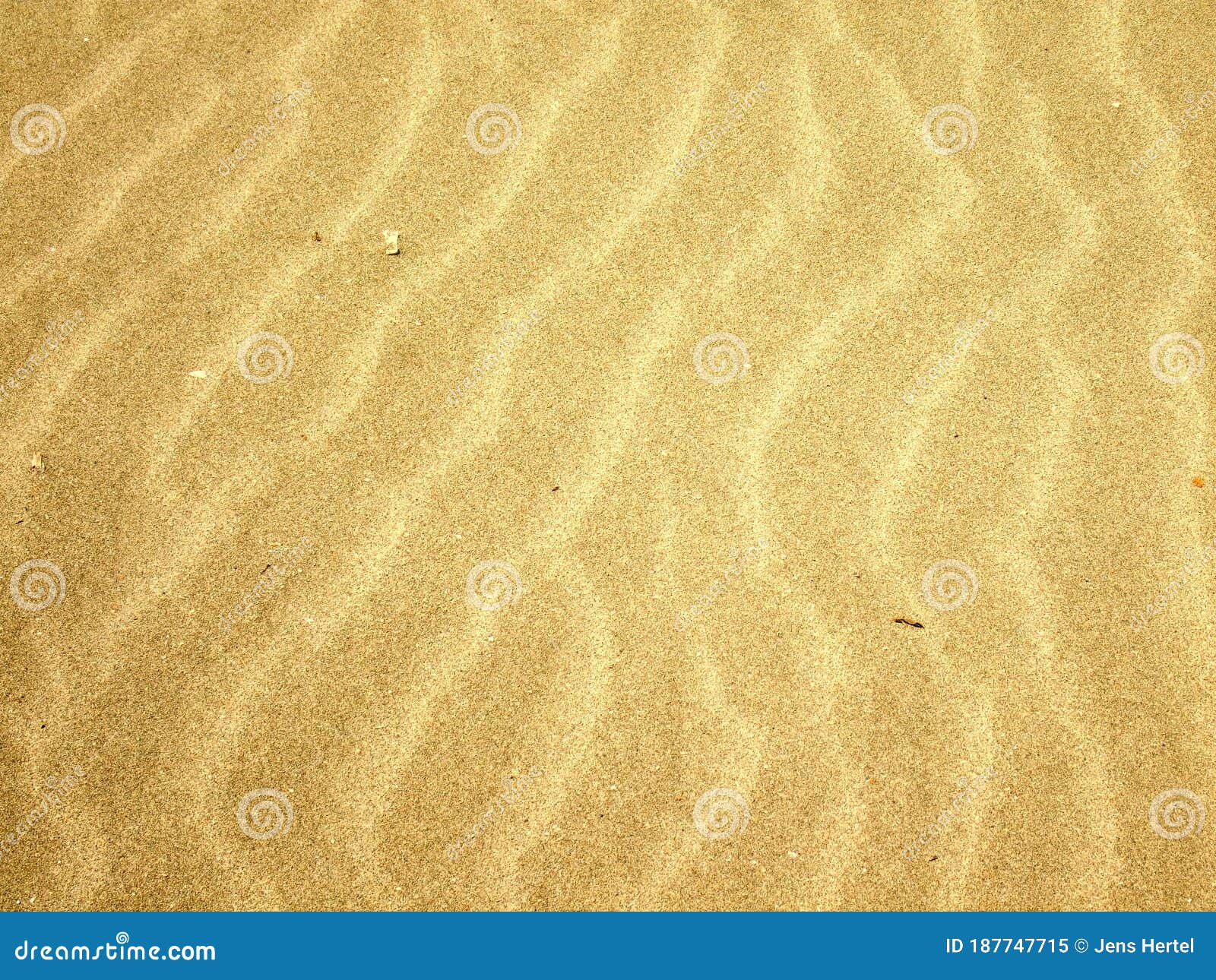 Wind Marks in the Sand on a Beach by the Sea Stock Image - Image of ...