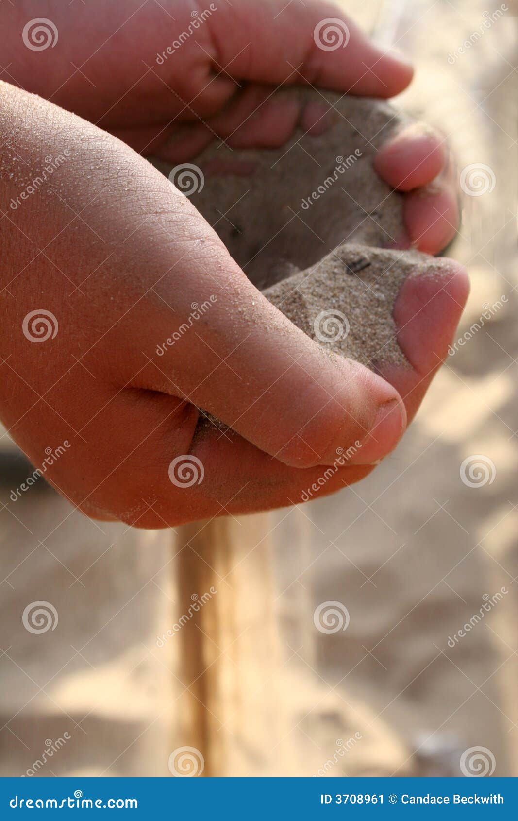 Sand stock image. Image of hand, plant, filter, earth - 3708961