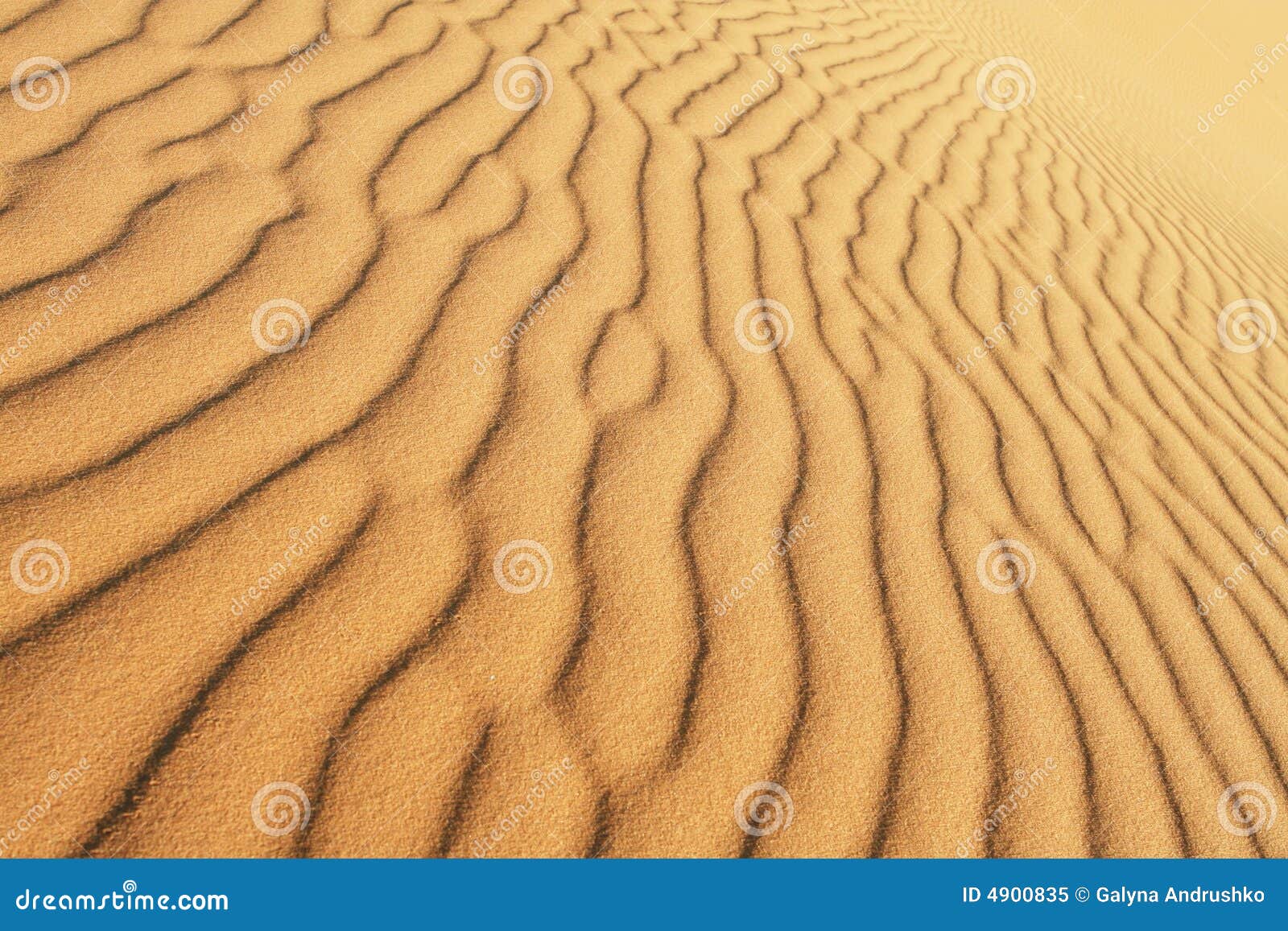 Sand stock image. Image of desert, sand, environment, resort - 4900835