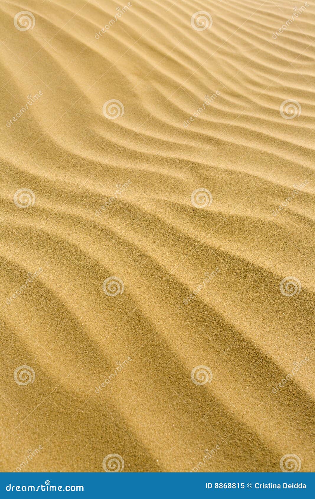 Hourglass Zen Stock Photos - Free & Royalty-Free Stock Photos from ...