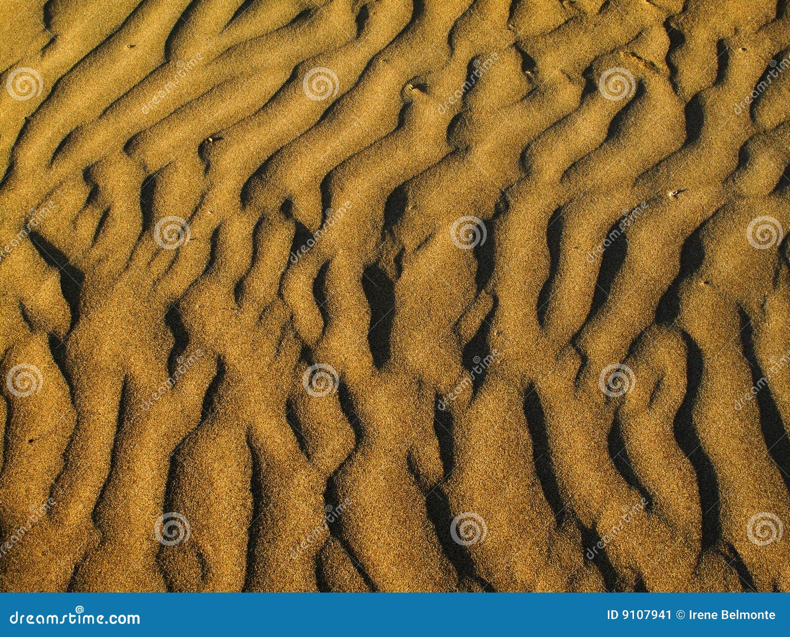 Sand stock image. Image of landscape, yellow, sandy, grain - 9107941