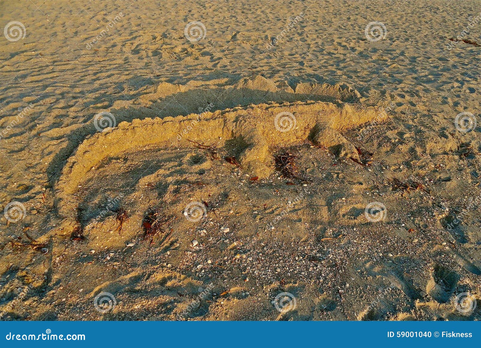 Sand Alligator On The Beach Royalty-Free Stock Image | CartoonDealer ...