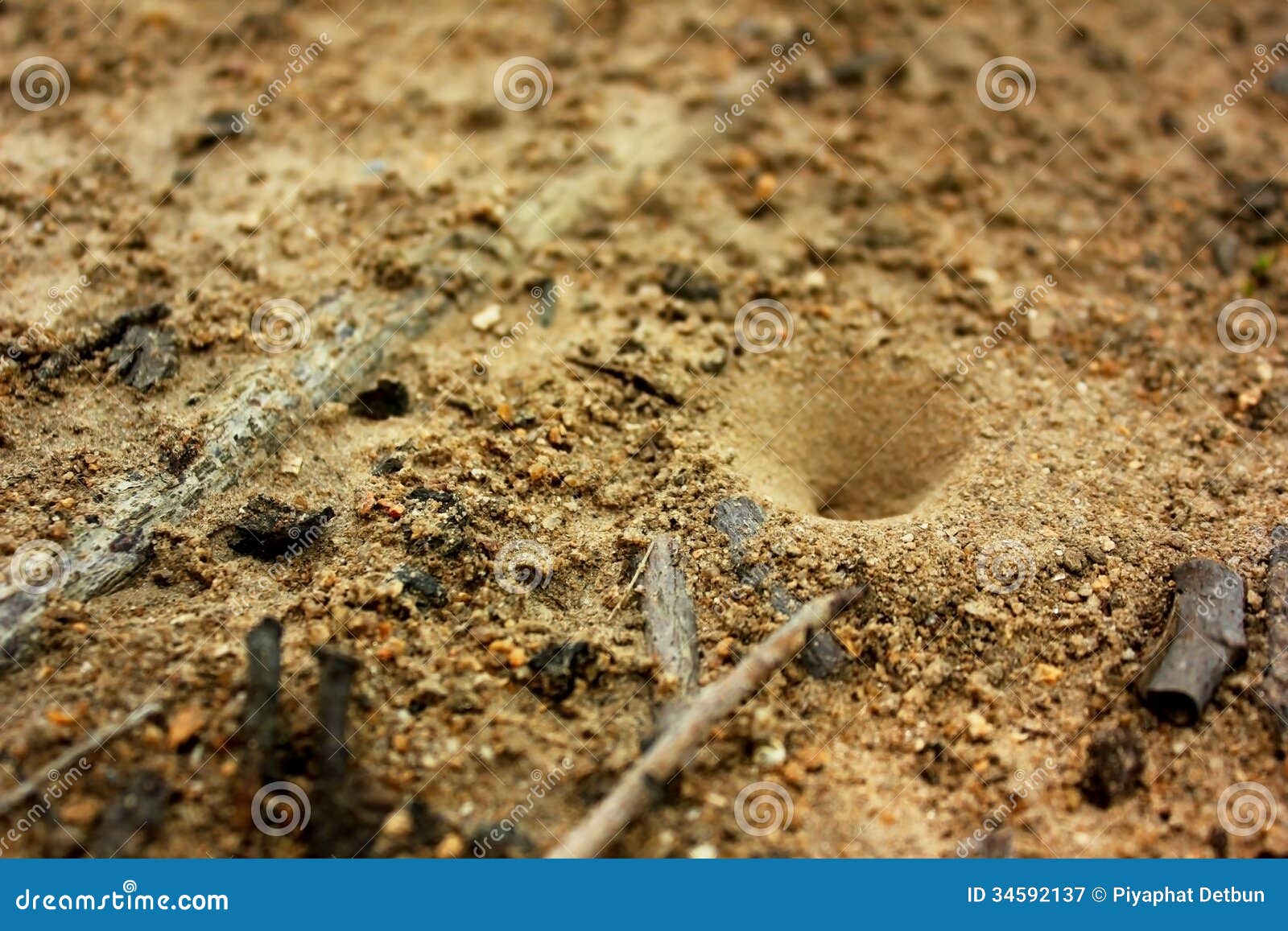 Sand anthill stock image. Image of dirt, magnification - 34592137